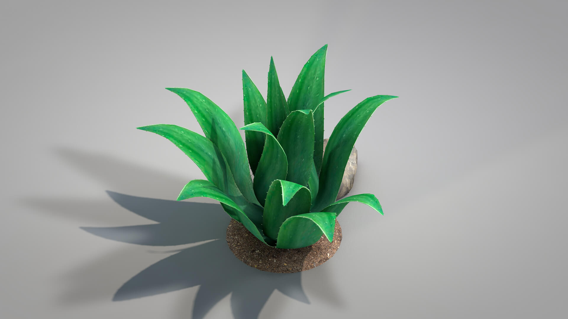 Plant Agave Family - 3D Model by renatodalle