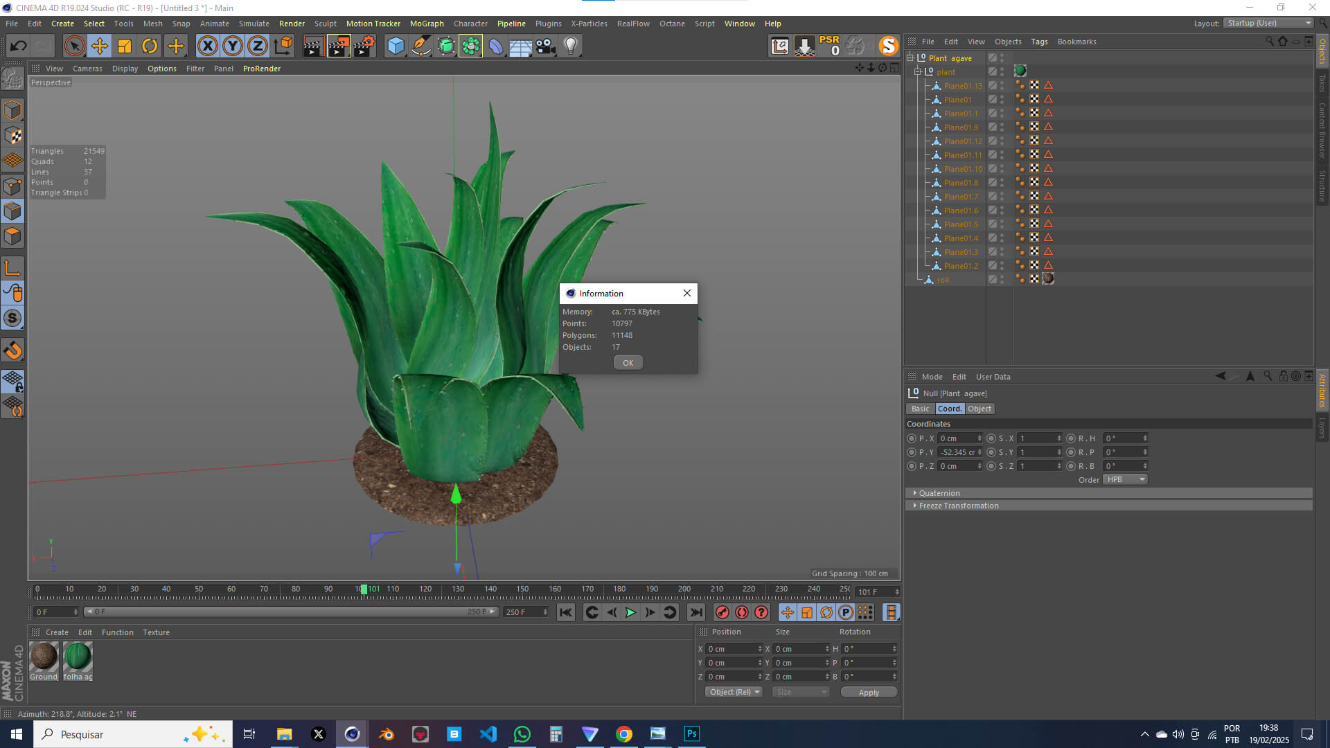 Plant Agave Family - 3D Model by renatodalle