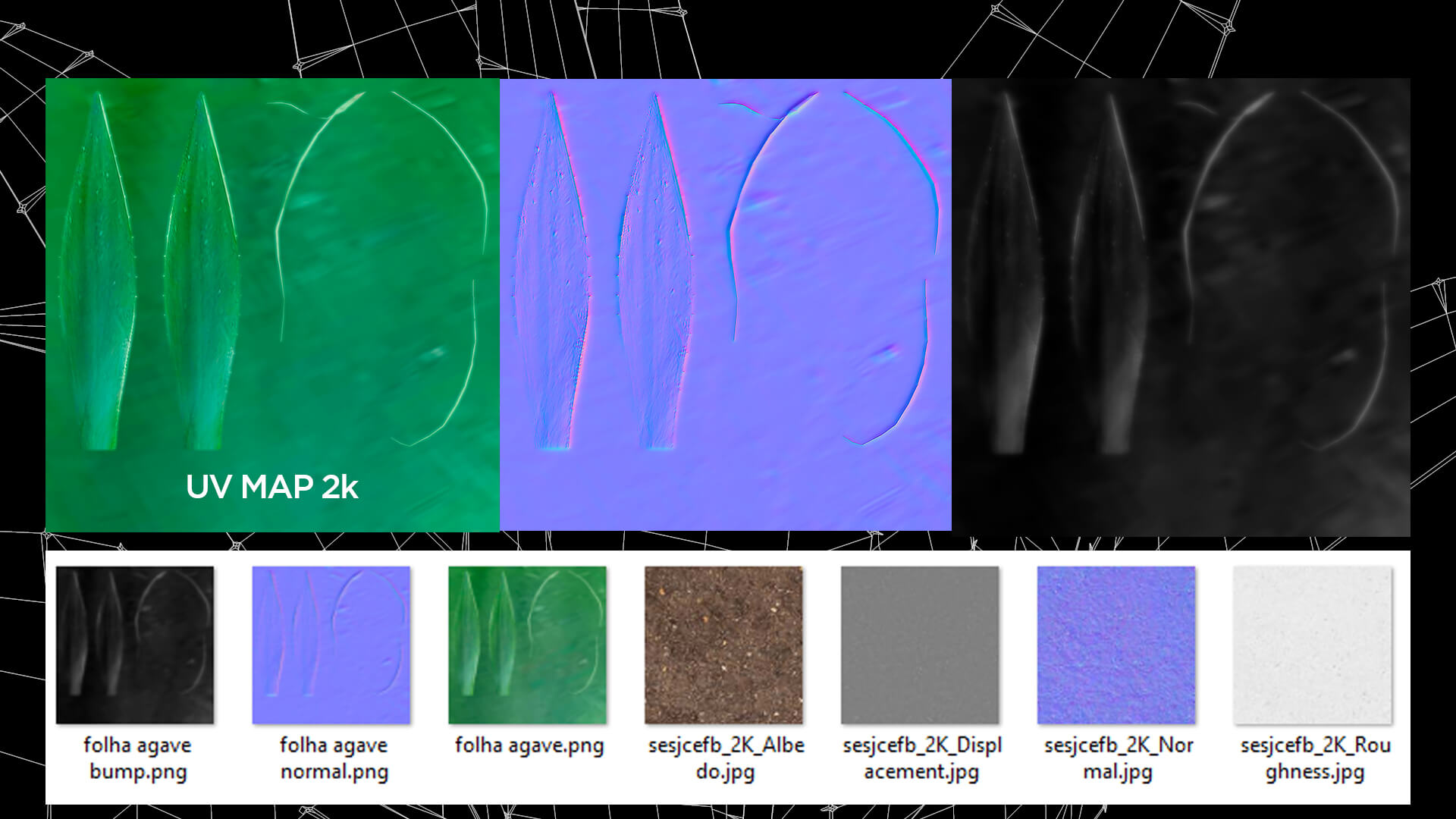 Plant Agave Family - 3D Model by renatodalle
