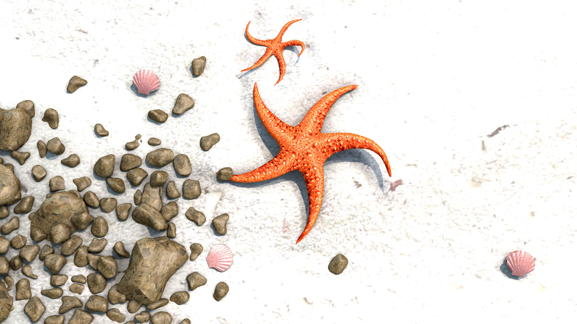 Starfish Two - 3D Model by renatodalle