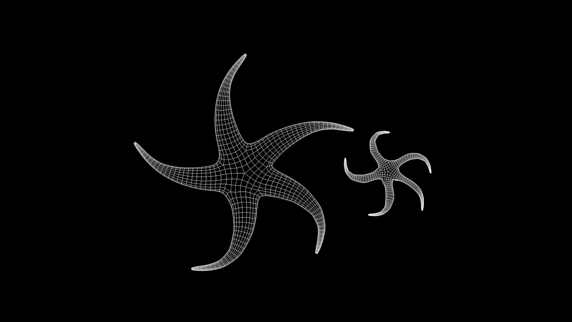 Starfish Two - 3D Model by renatodalle