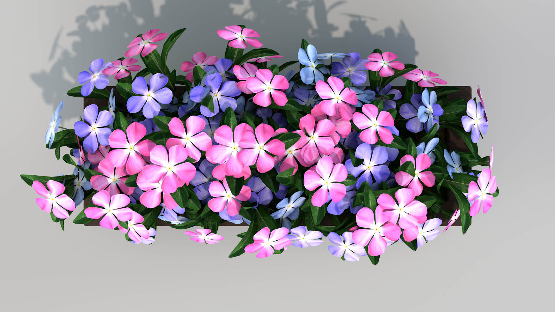 Vase Flowers Vinca De Madagascar - 3D Model by renatodalle