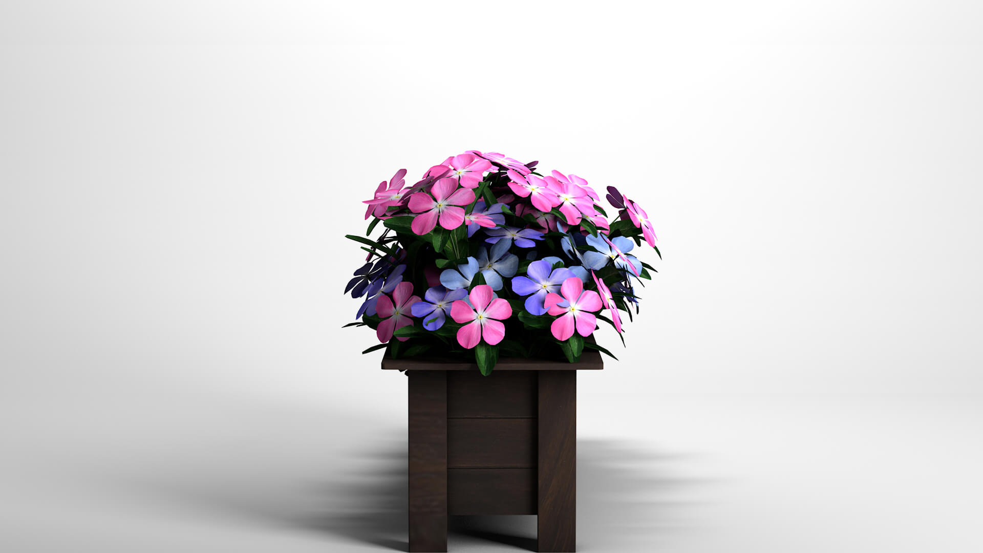 Vase Flowers Vinca De Madagascar - 3D Model by renatodalle