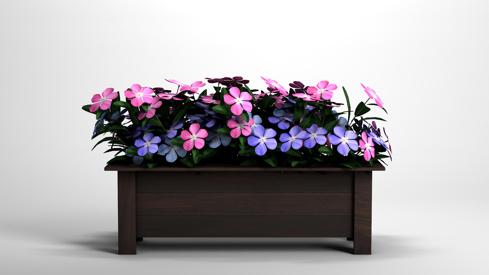 Vase Flowers Vinca De Madagascar - 3D Model by renatodalle