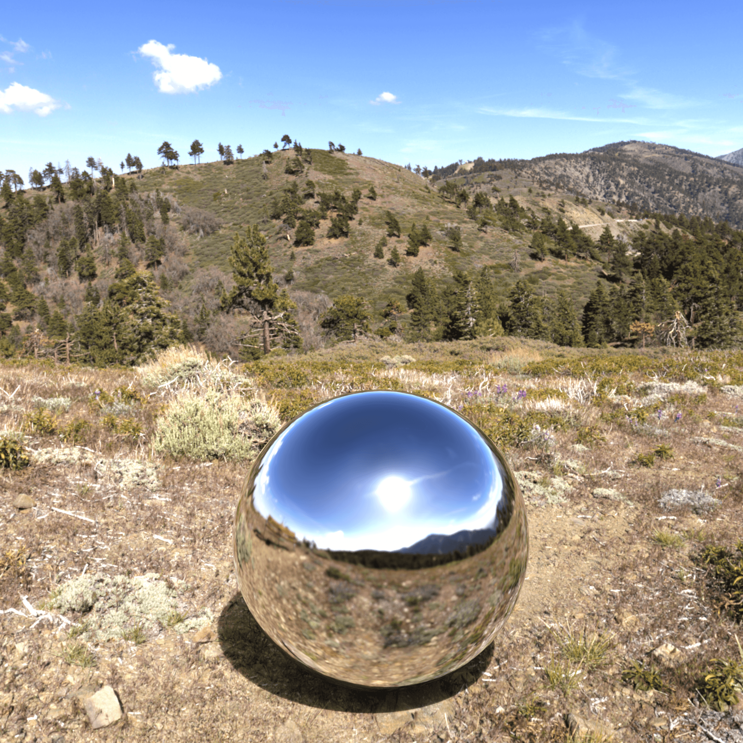 Example Iray Render 3D Render, Digital Art by RgCIA21213