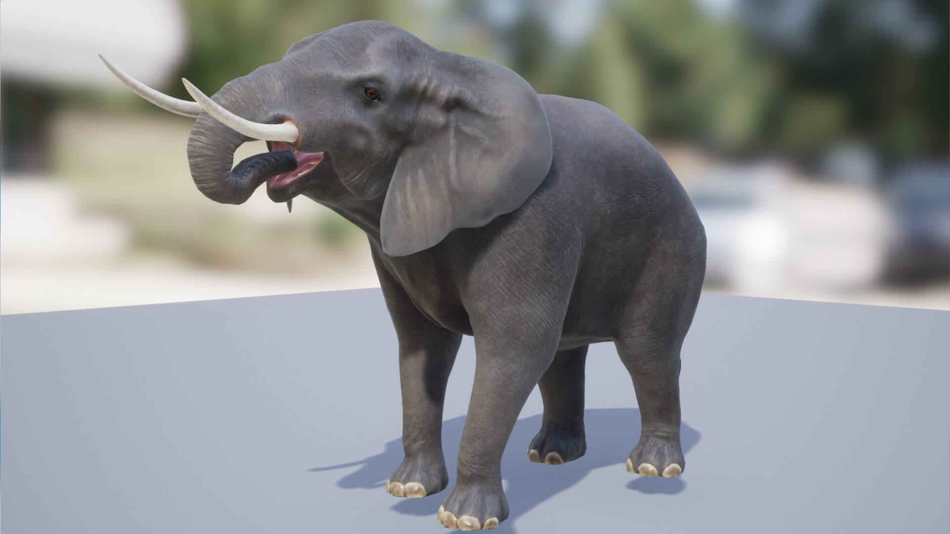 African Elephant - 3D Model by Rifat Bilalov