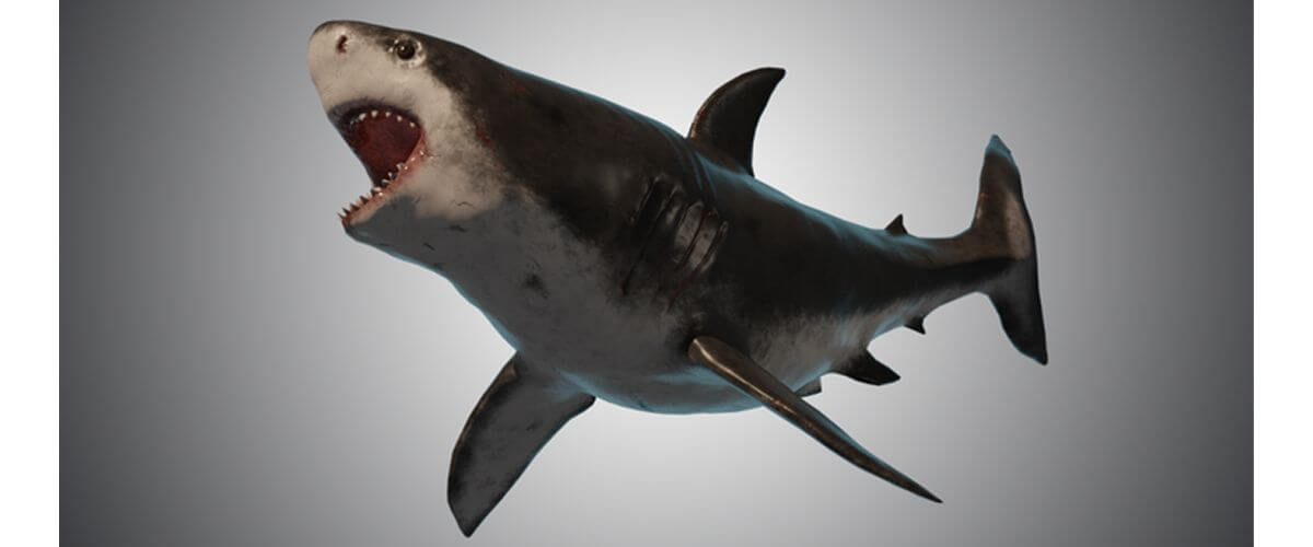 Rifat Bilalov - Download 3D Models at RenderHub