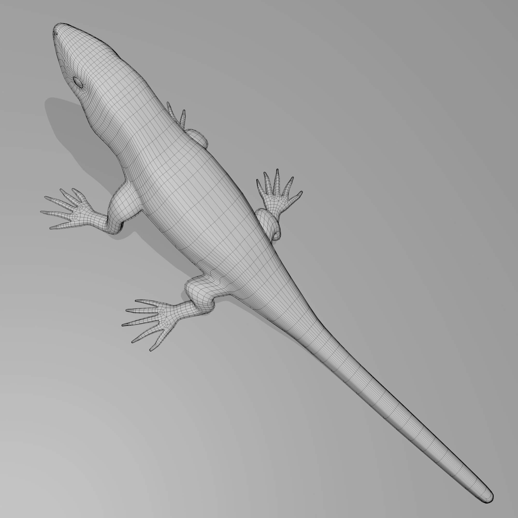 Anole Lizard - 3D Model by rmilushev
