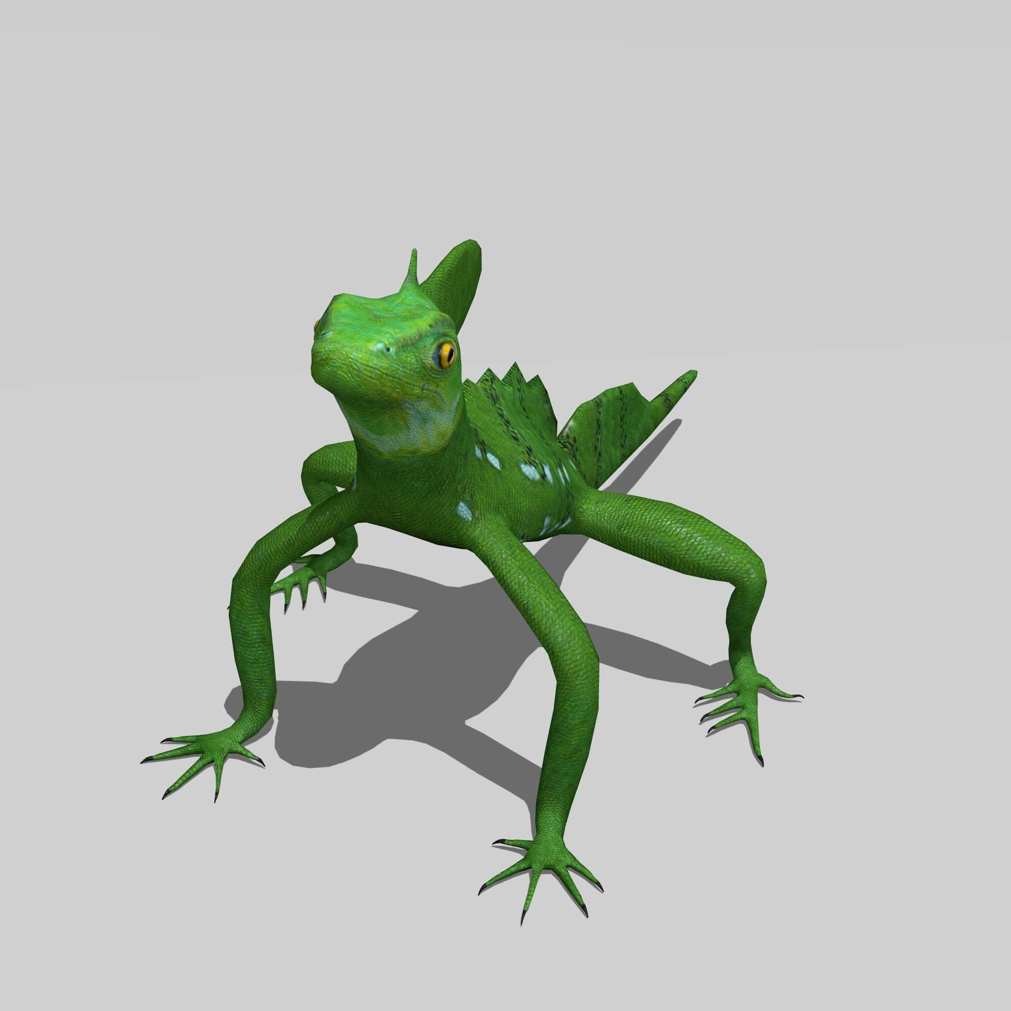 Basilisk Lizard - 3D Model by rmilushev