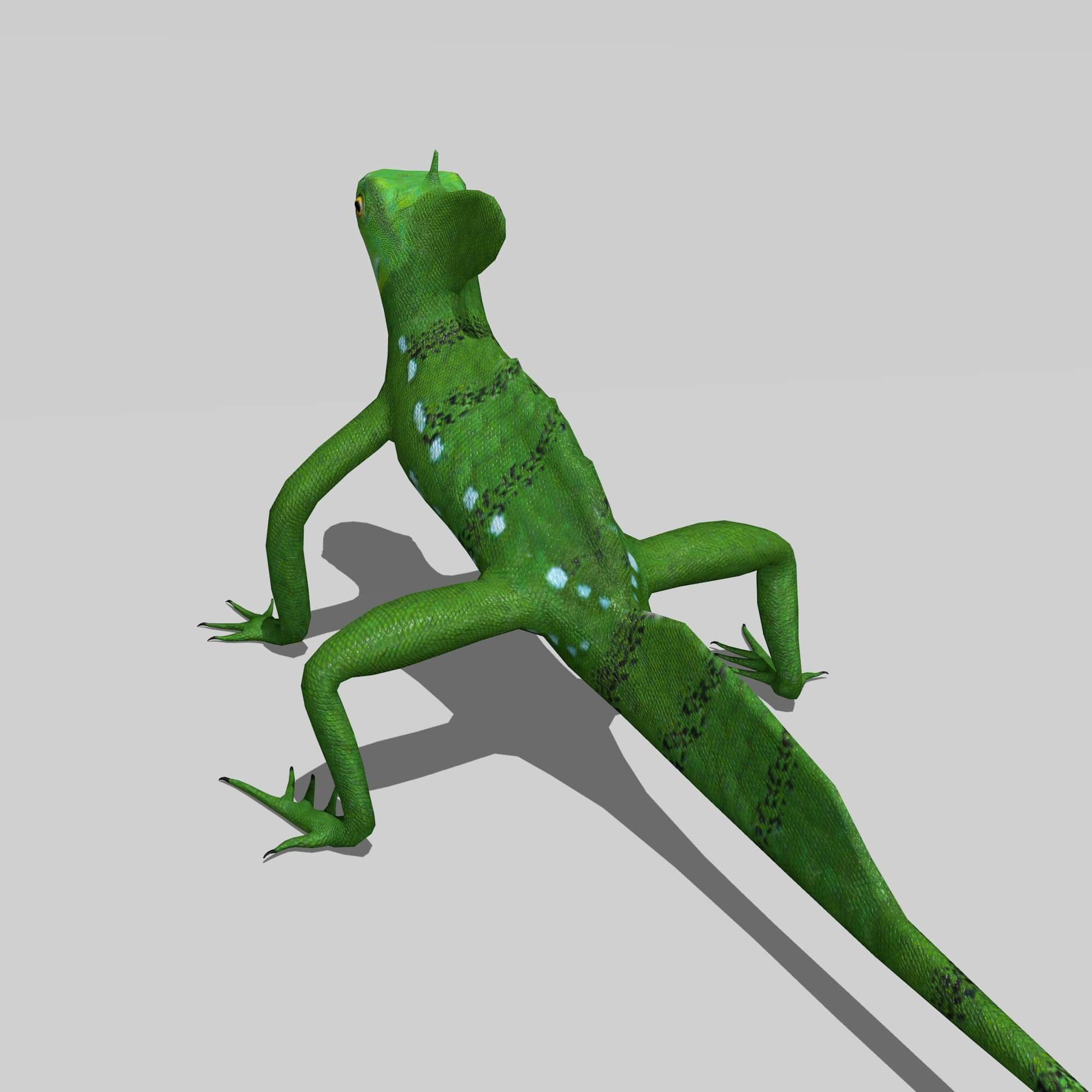 Basilisk Lizard - 3D Model by rmilushev