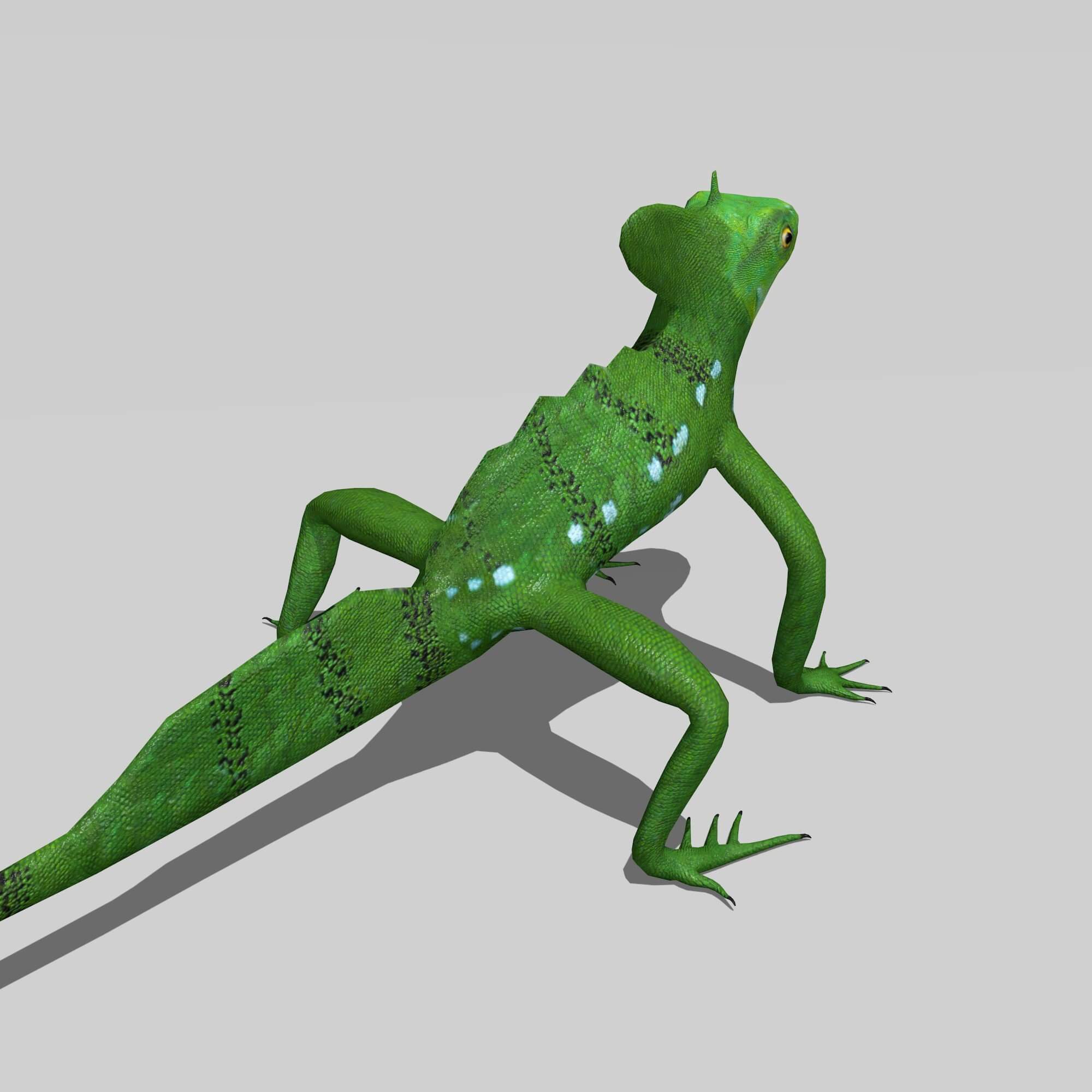Basilisk Lizard - 3D Model by rmilushev