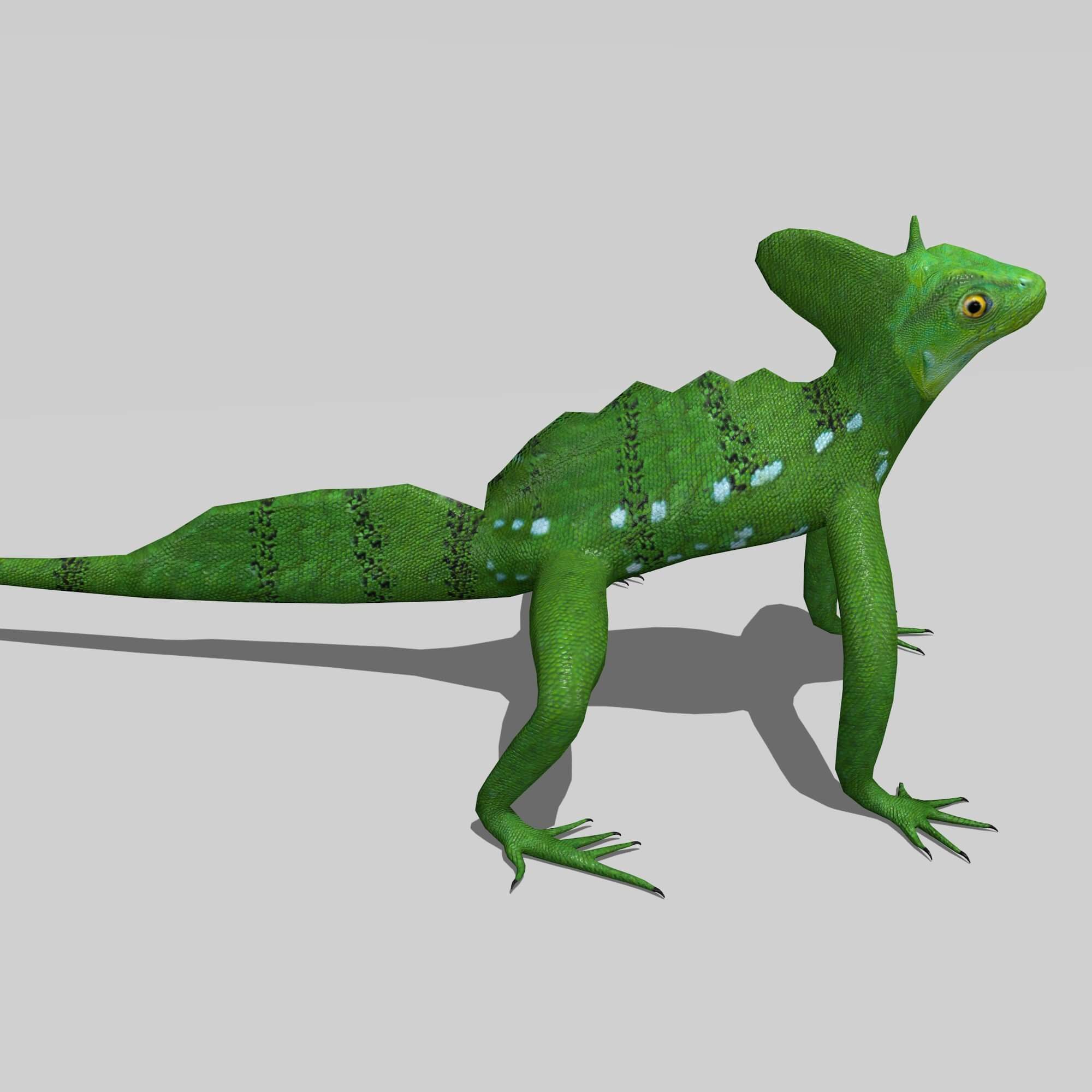 Basilisk Lizard - 3D Model by rmilushev