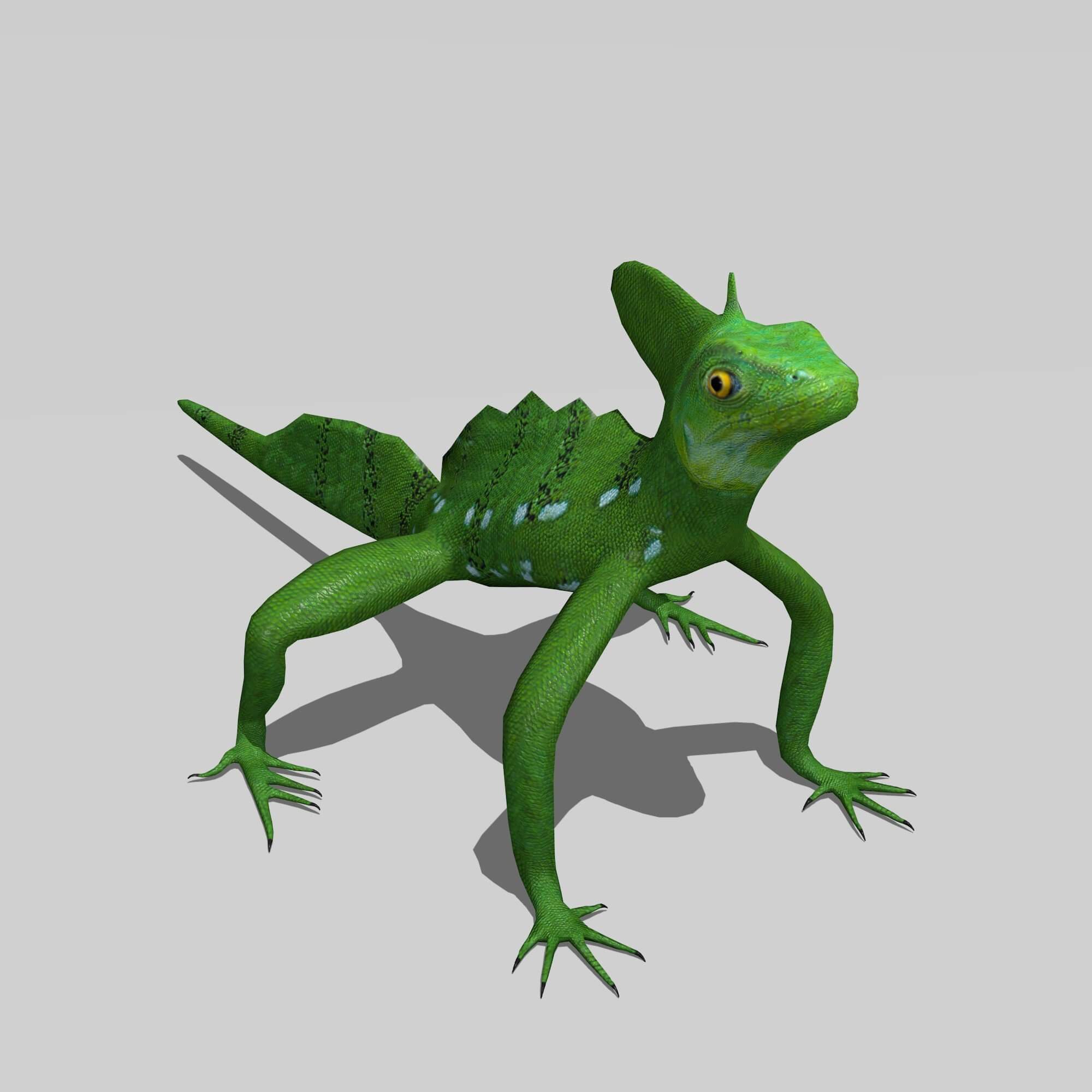 Basilisk Lizard - 3D Model by rmilushev