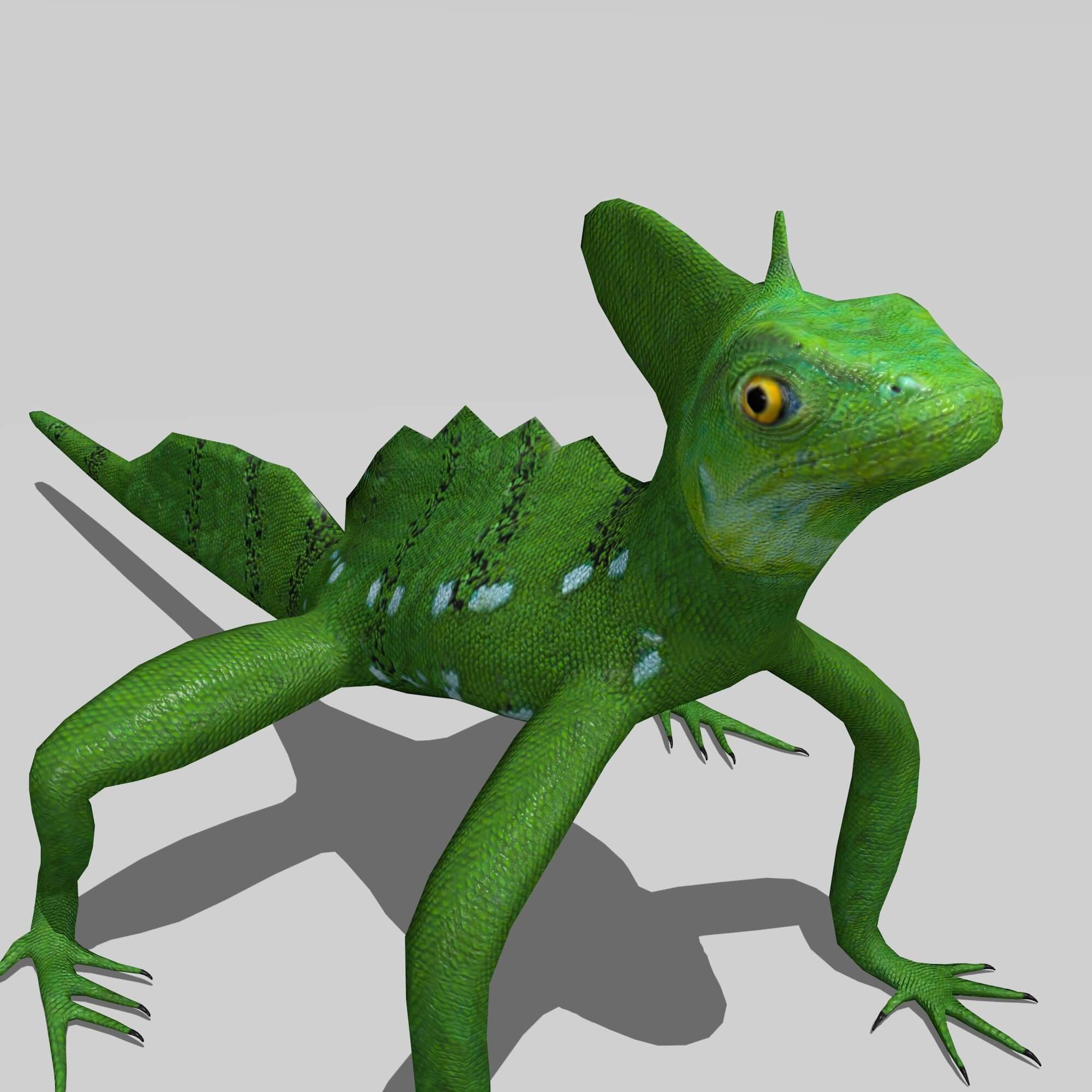 Basilisk Lizard - 3D Model by rmilushev