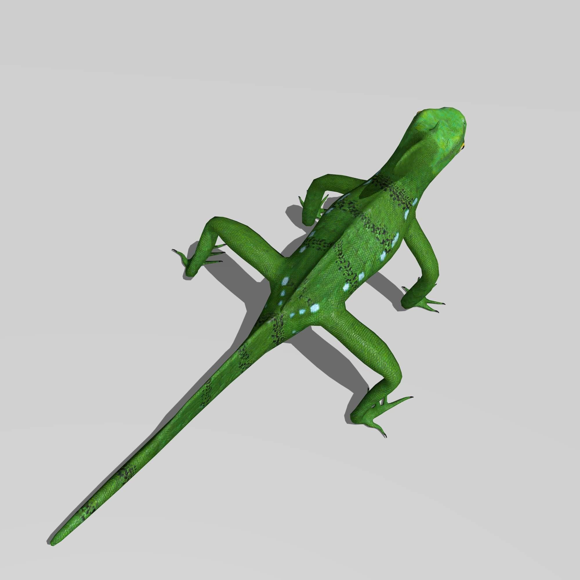 Basilisk Lizard - 3D Model by rmilushev