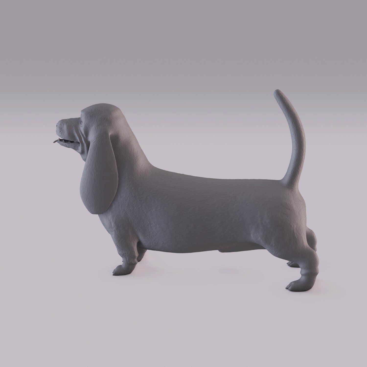 Basset Hound - 3D Print Model by rmilushev