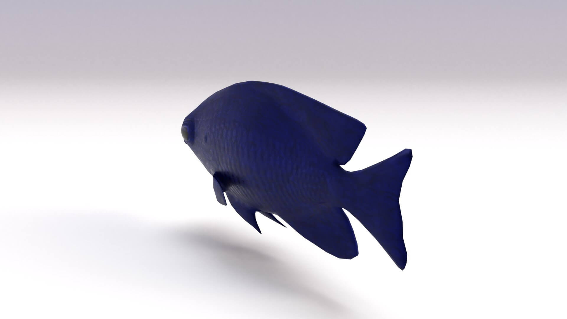 Blue Damsel Fish - 3D Model by rmilushev