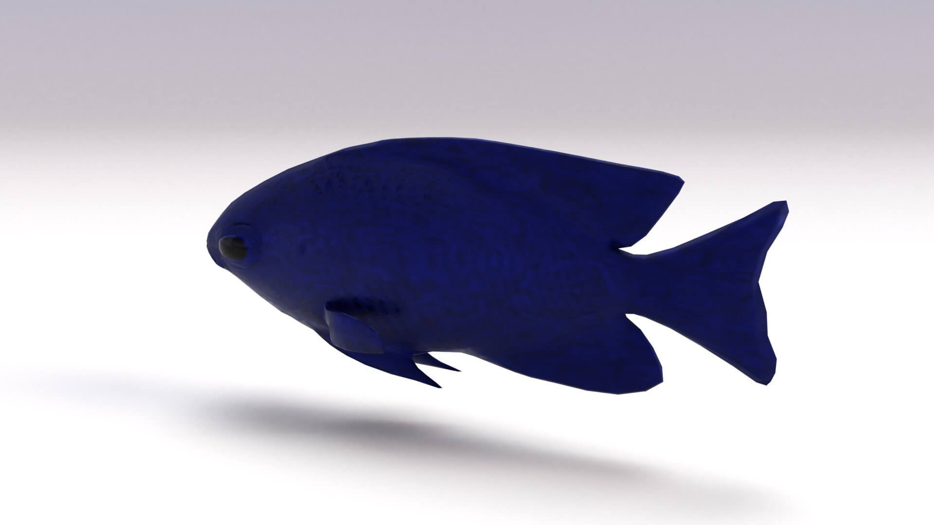Blue Damsel Fish - 3D Model by rmilushev