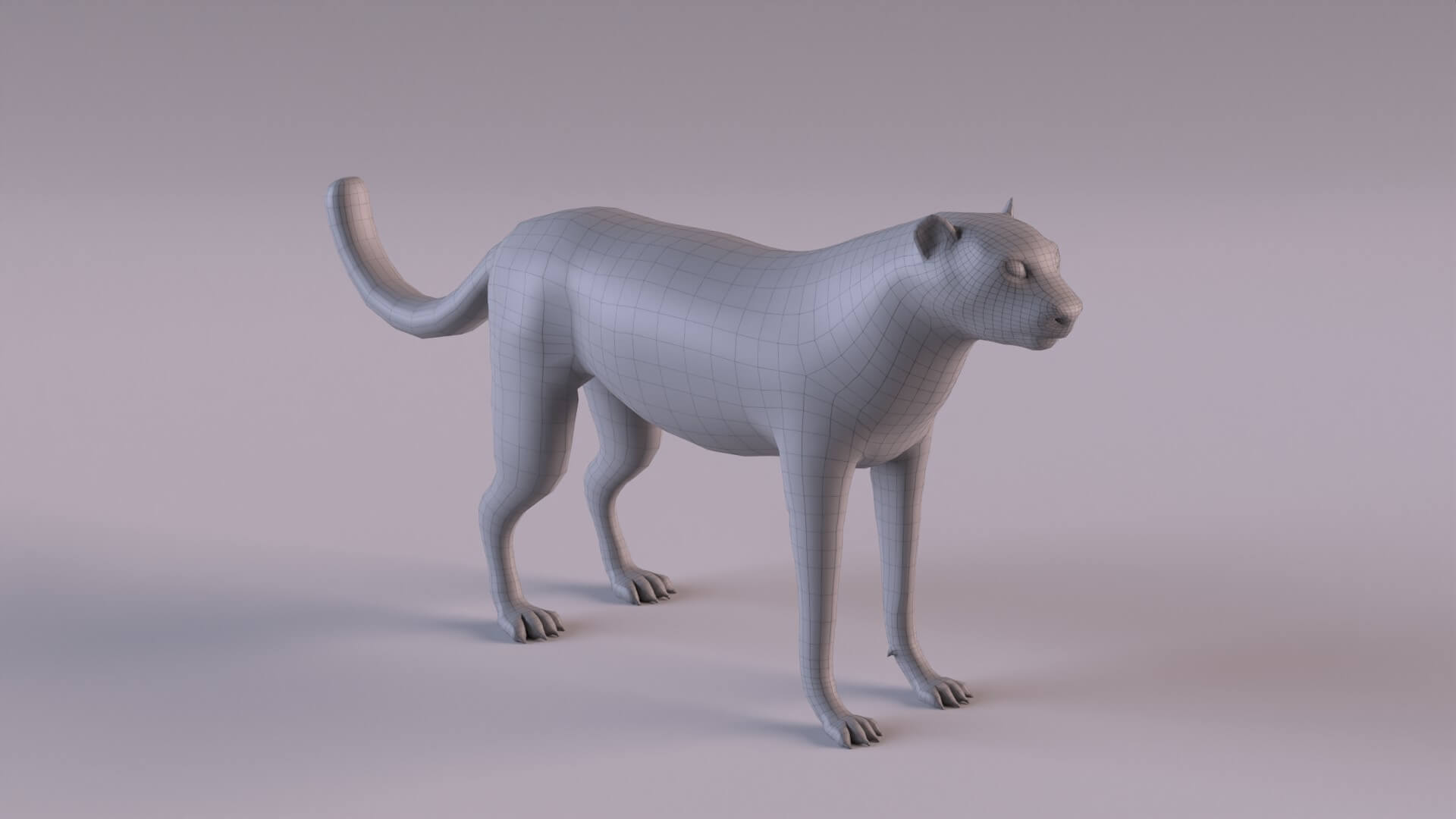 Cheetah Animal - 3D Model by rmilushev