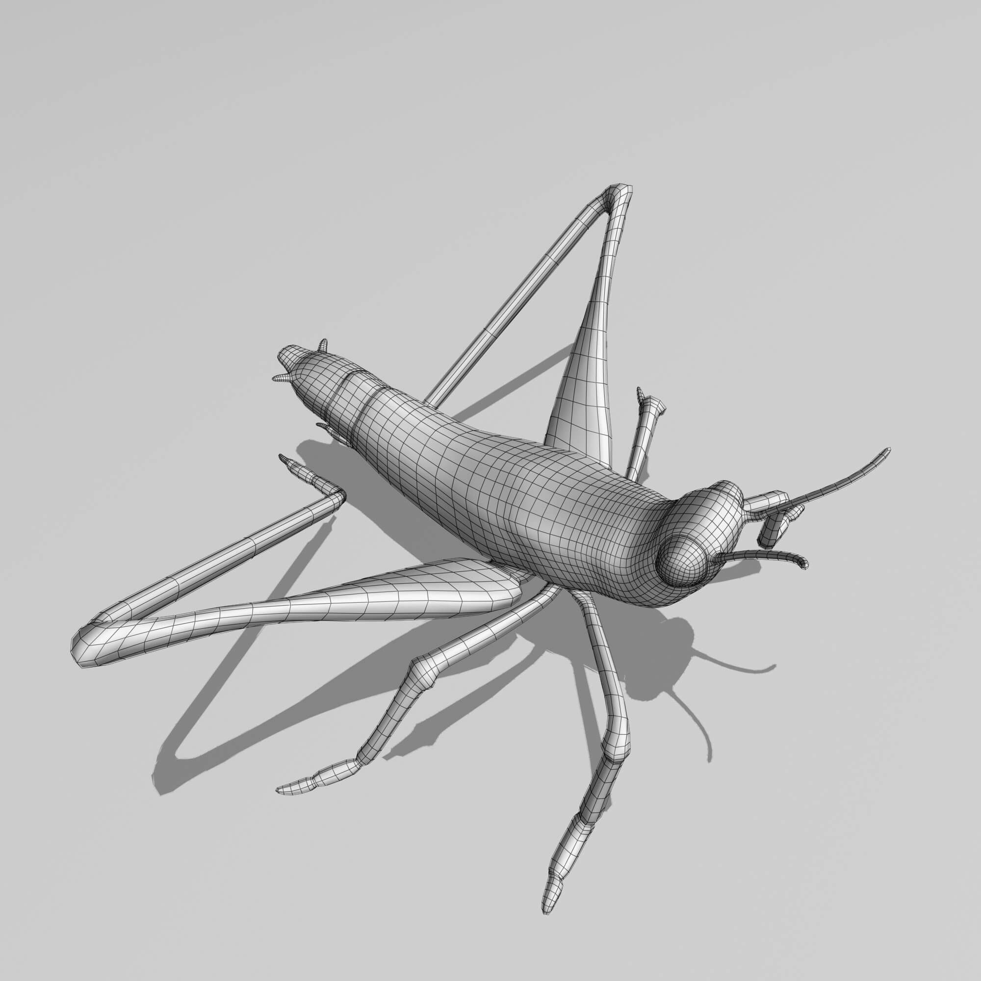 Cricket - 3D Model by rmilushev