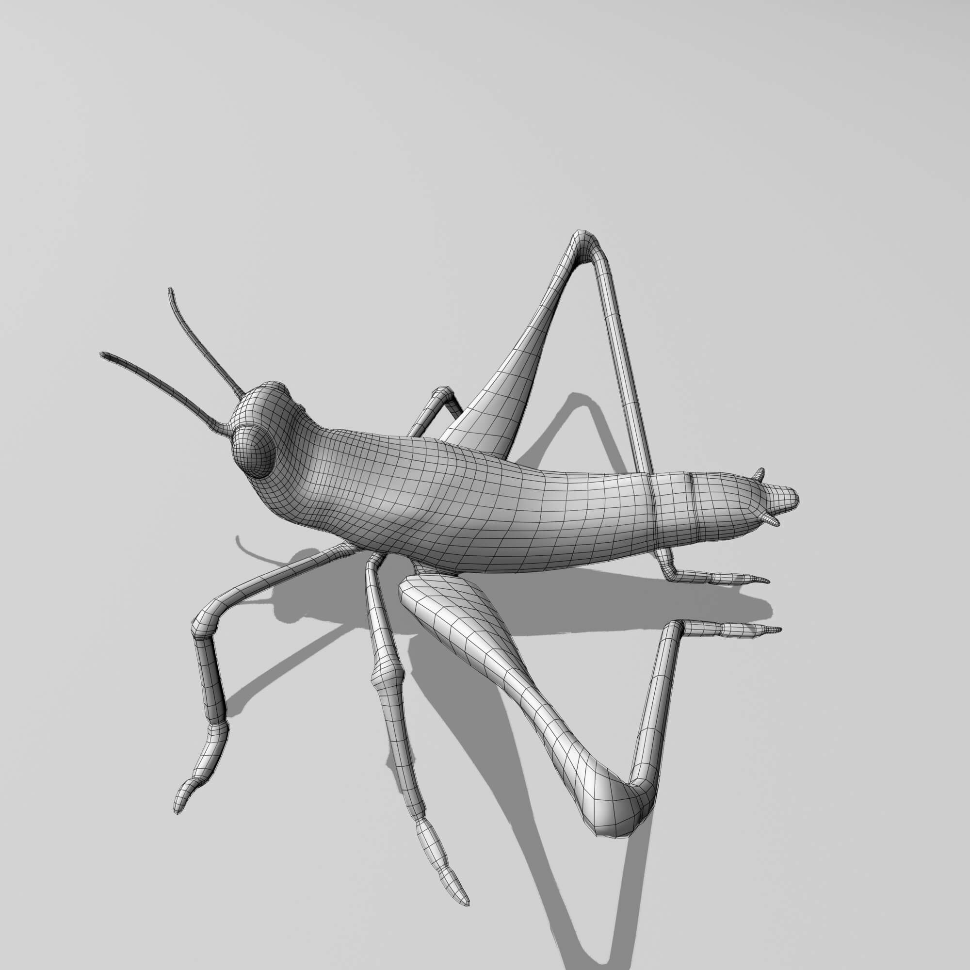 Cricket - 3D Model by rmilushev