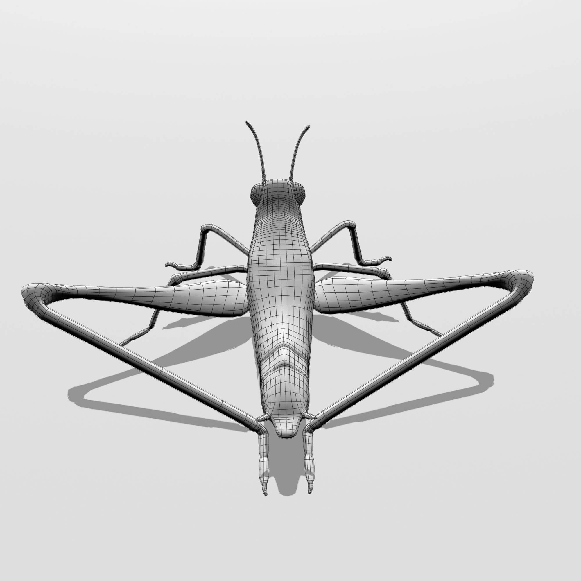 Cricket - 3D Model by rmilushev