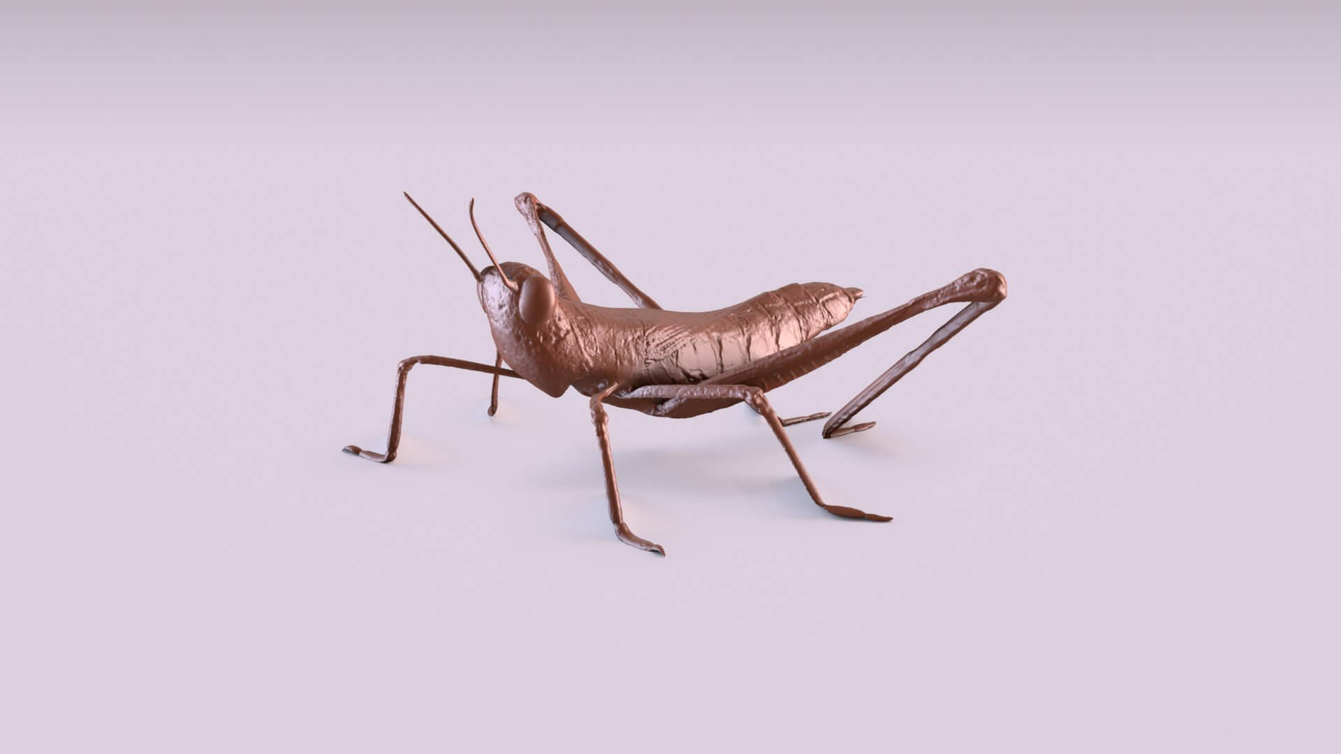 Cricket - 3D Model by rmilushev