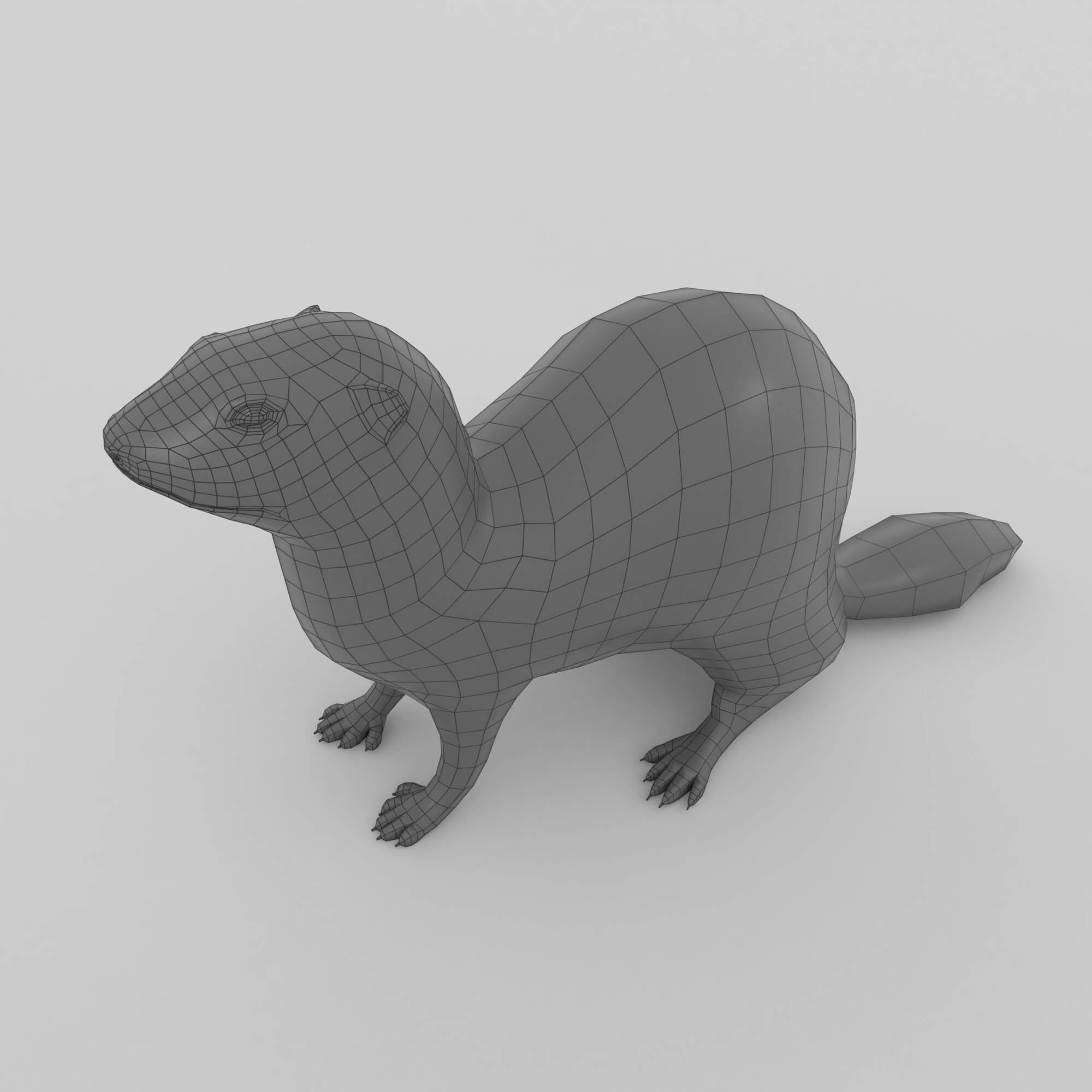 Ferret - 3D Model by rmilushev