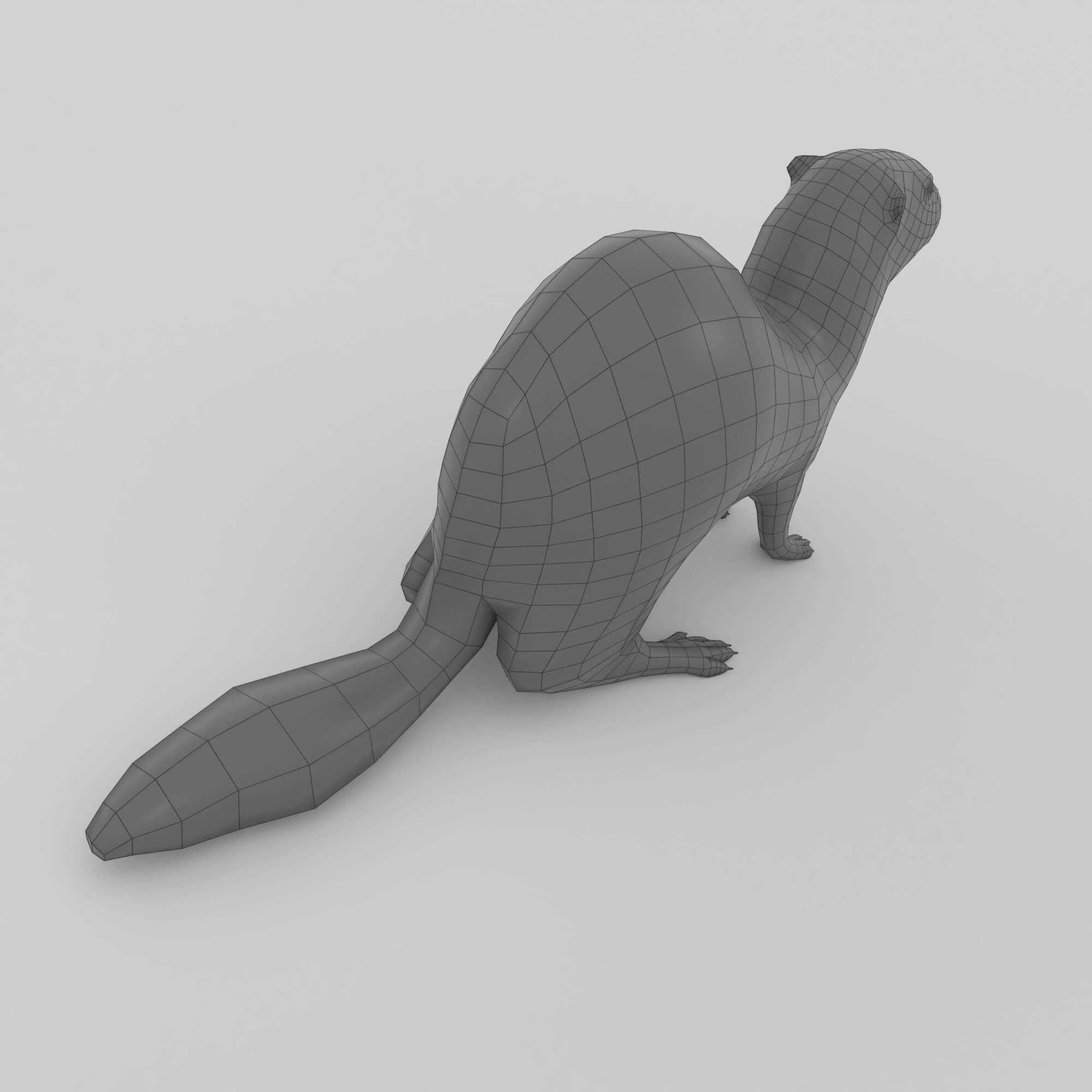 Ferret - 3D Model by rmilushev