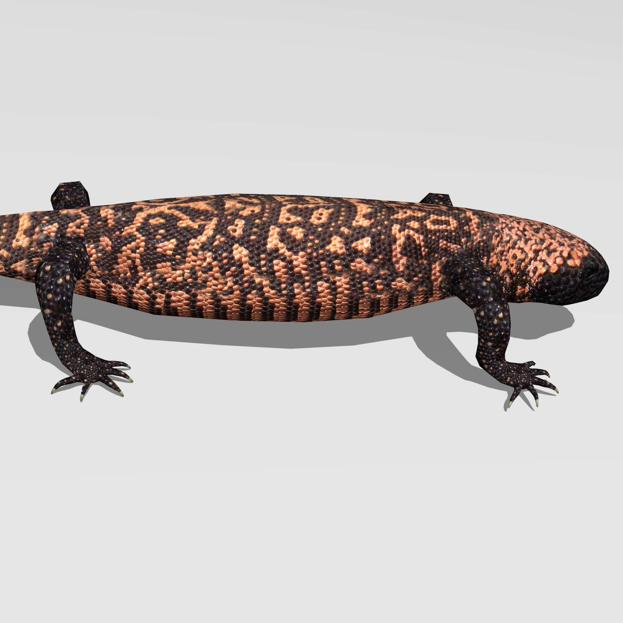 Gila Monster - 3D Model by rmilushev