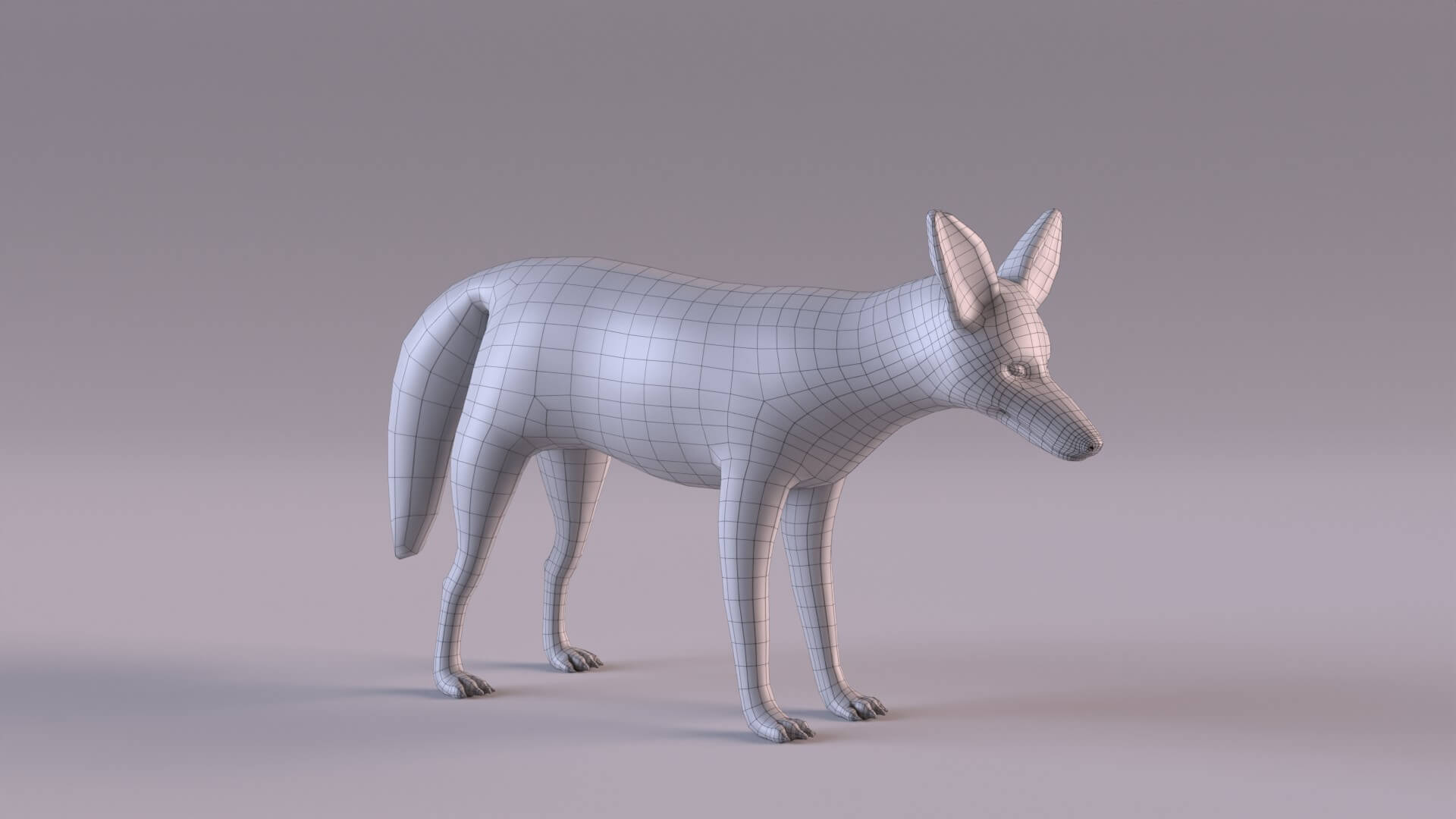 Jackal Animal - 3D Model by rmilushev
