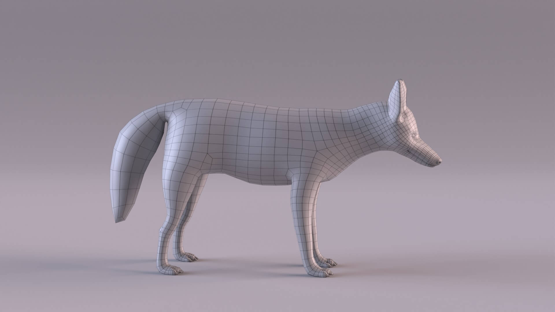 Jackal Animal - 3D Model by rmilushev