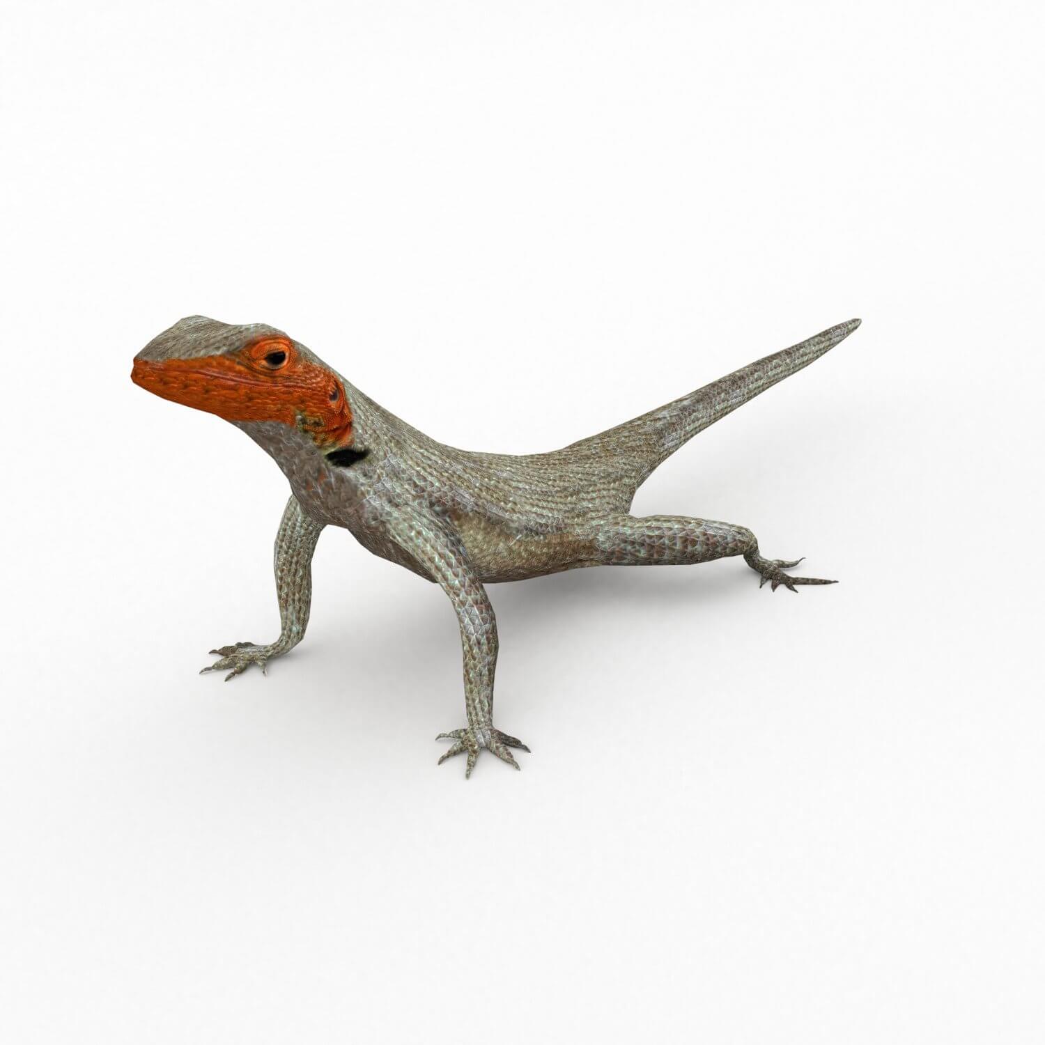 Lava Lizard - 3D Model by rmilushev