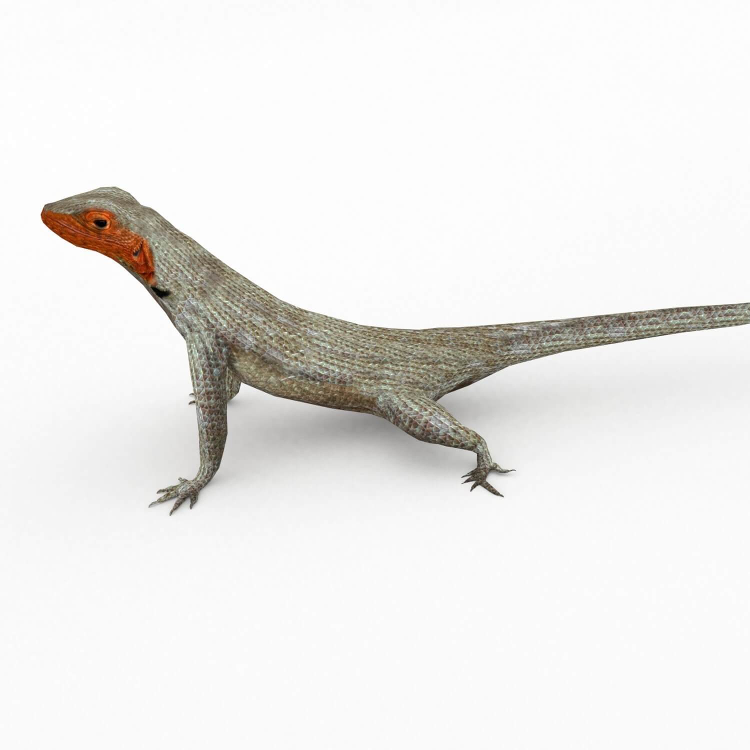 Lava Lizard - 3D Model by rmilushev
