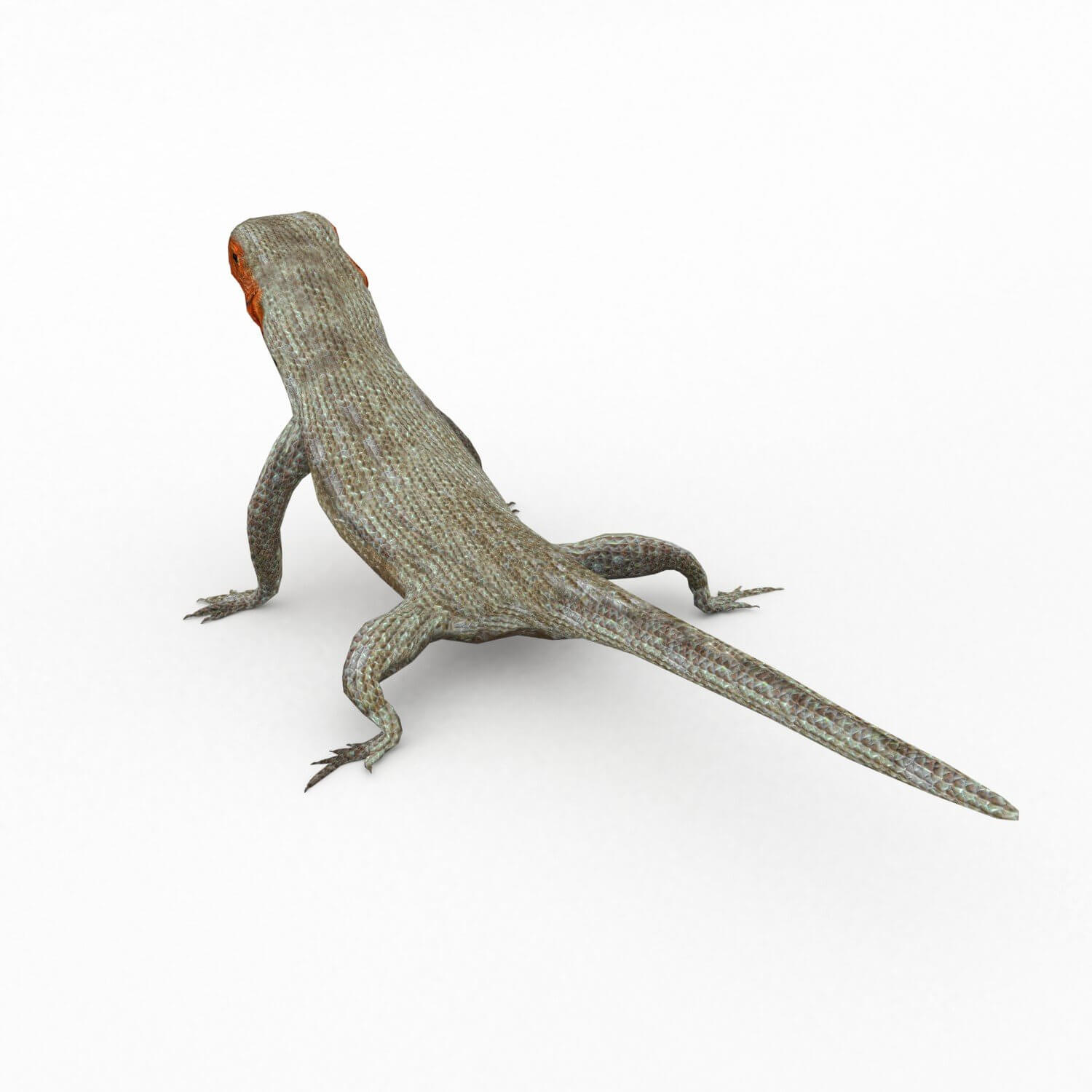 Lava Lizard - 3D Model by rmilushev