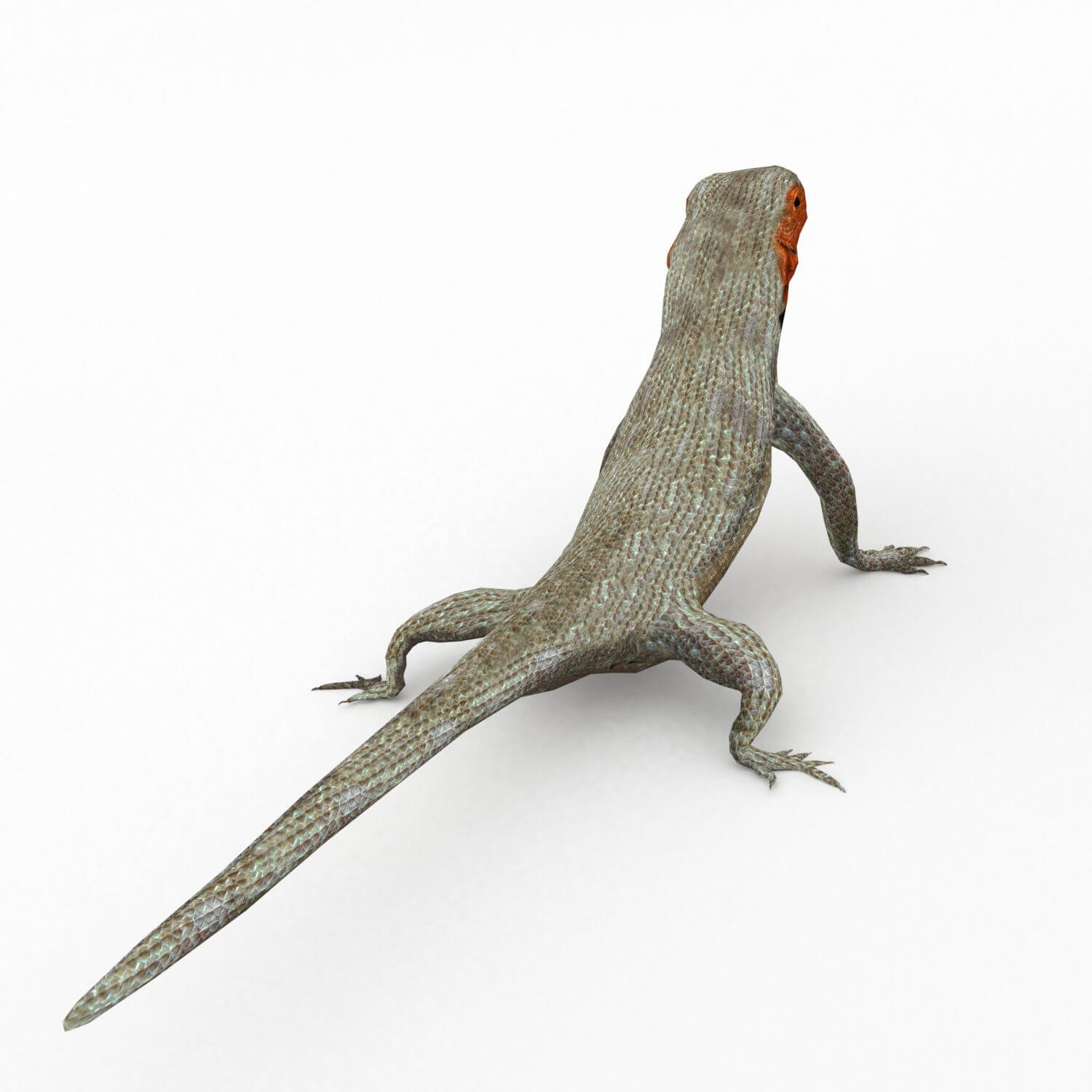 Lava Lizard - 3D Model by rmilushev