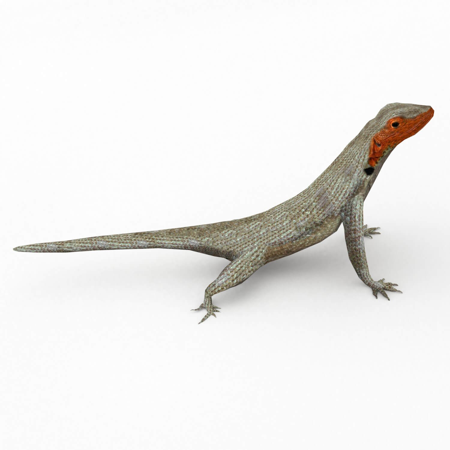 Lava Lizard - 3D Model by rmilushev