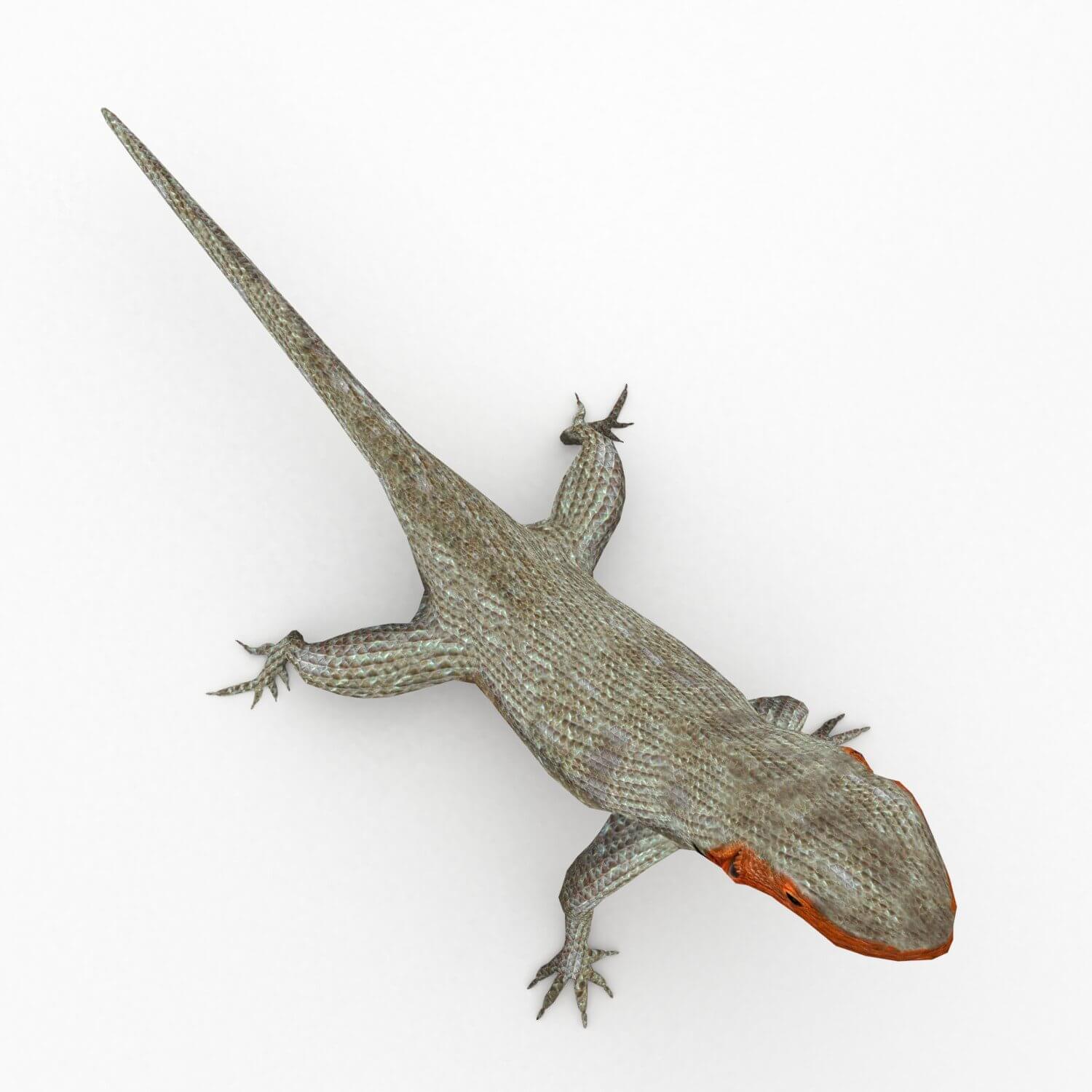 Lava Lizard - 3D Model by rmilushev