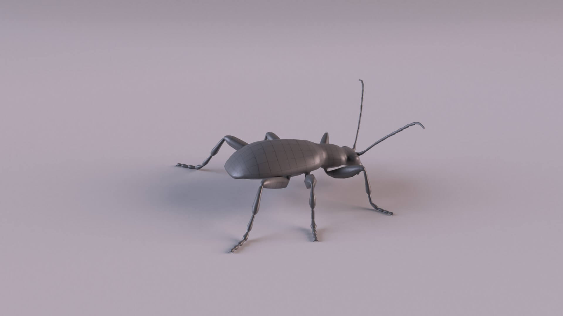 Leaf Beetle Aulacophora Indica - 3D Model by rmilushev