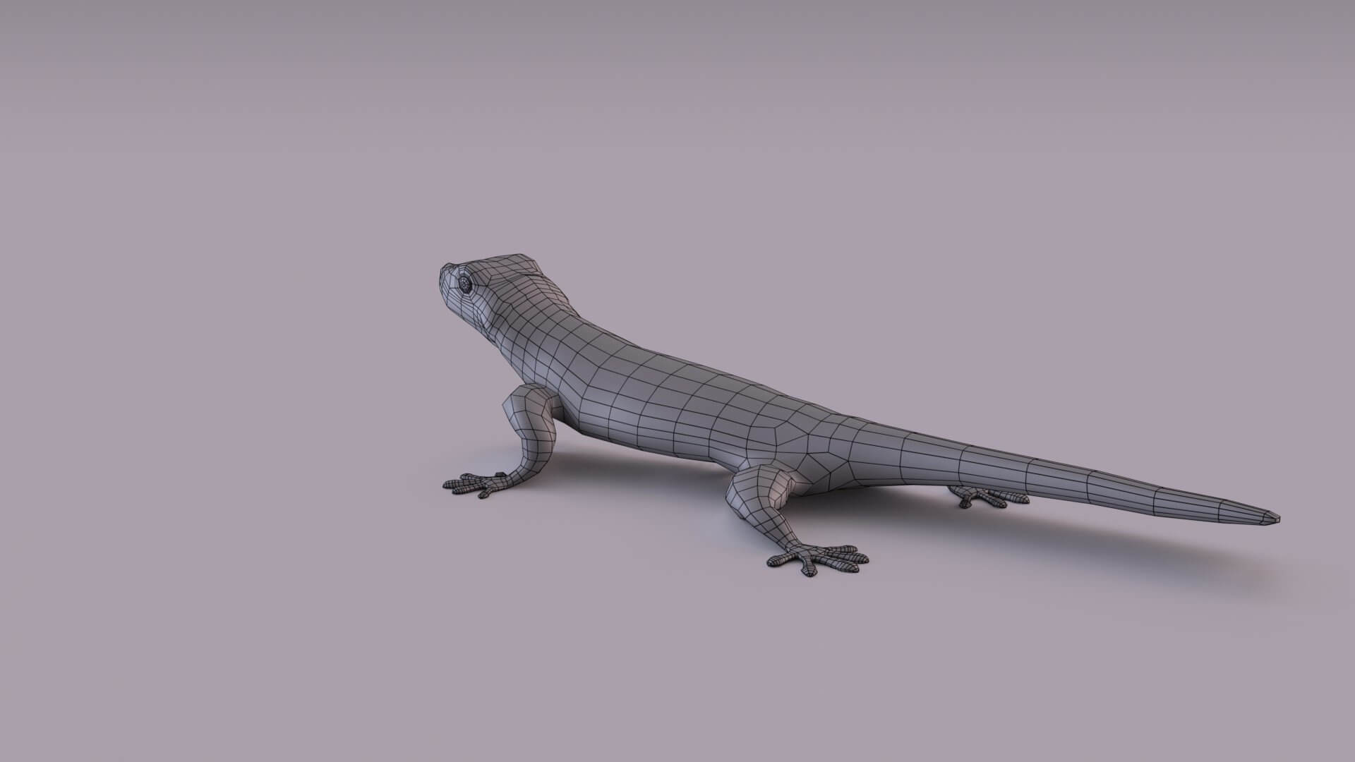 Madagascar Day Gecko - 3D Model by rmilushev