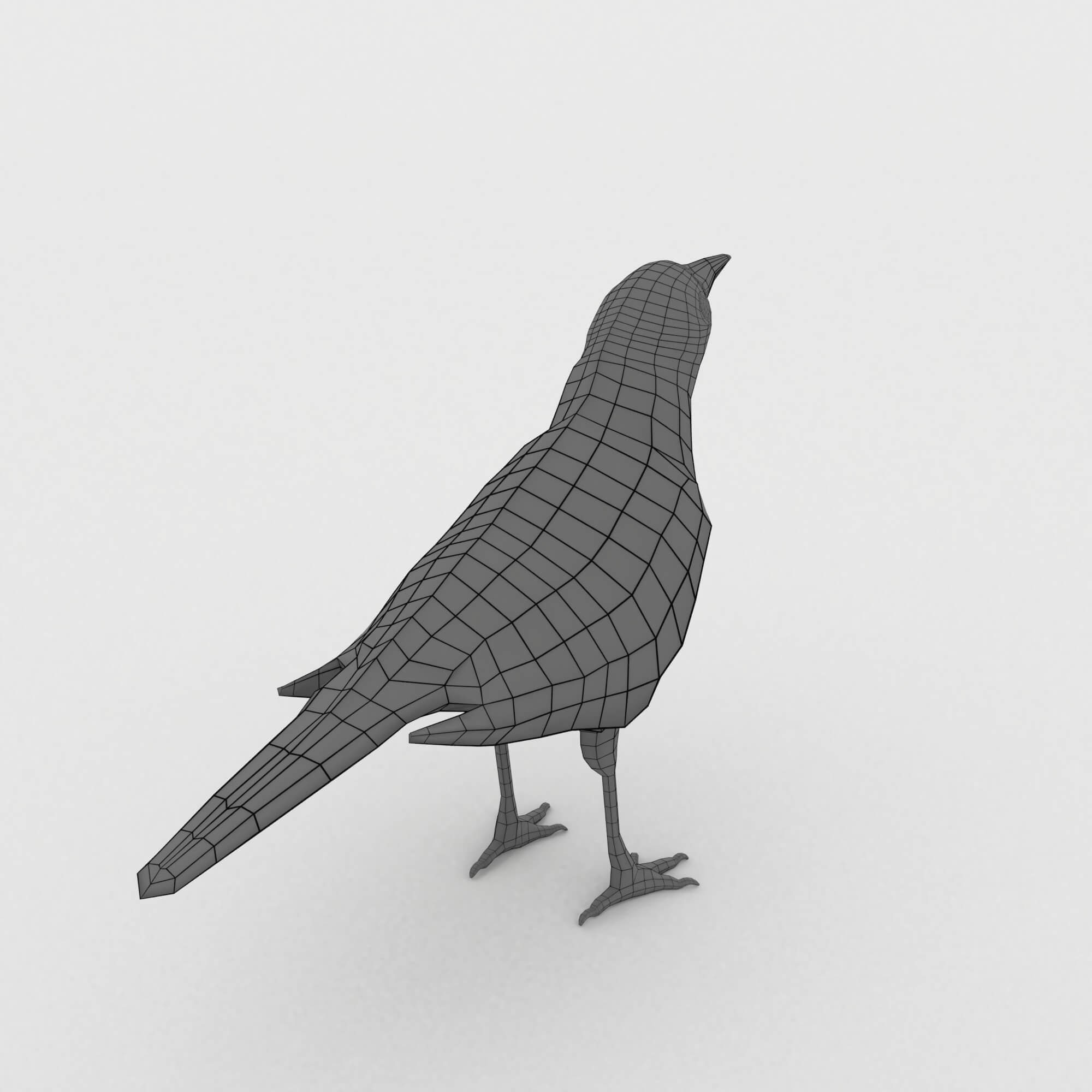 Magpie - 3D Model by rmilushev