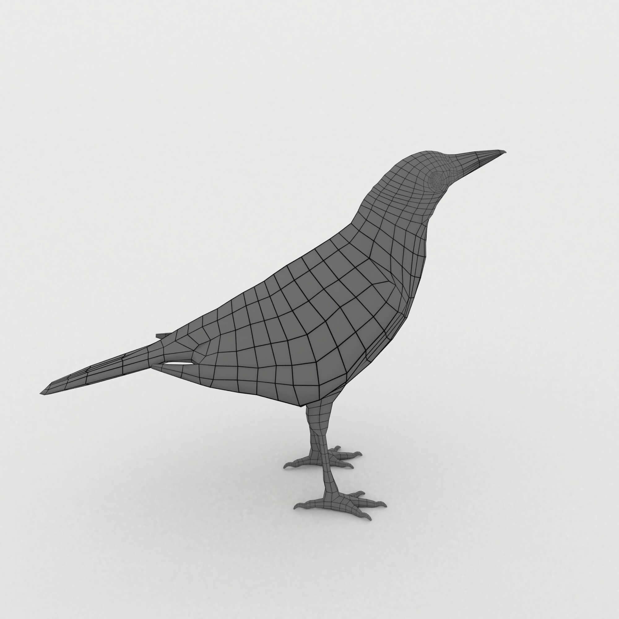 Magpie - 3D Model by rmilushev