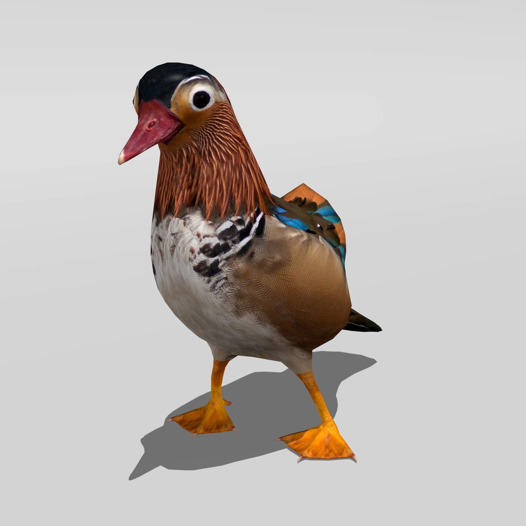 Mandarin Duck - 3D Model by rmilushev