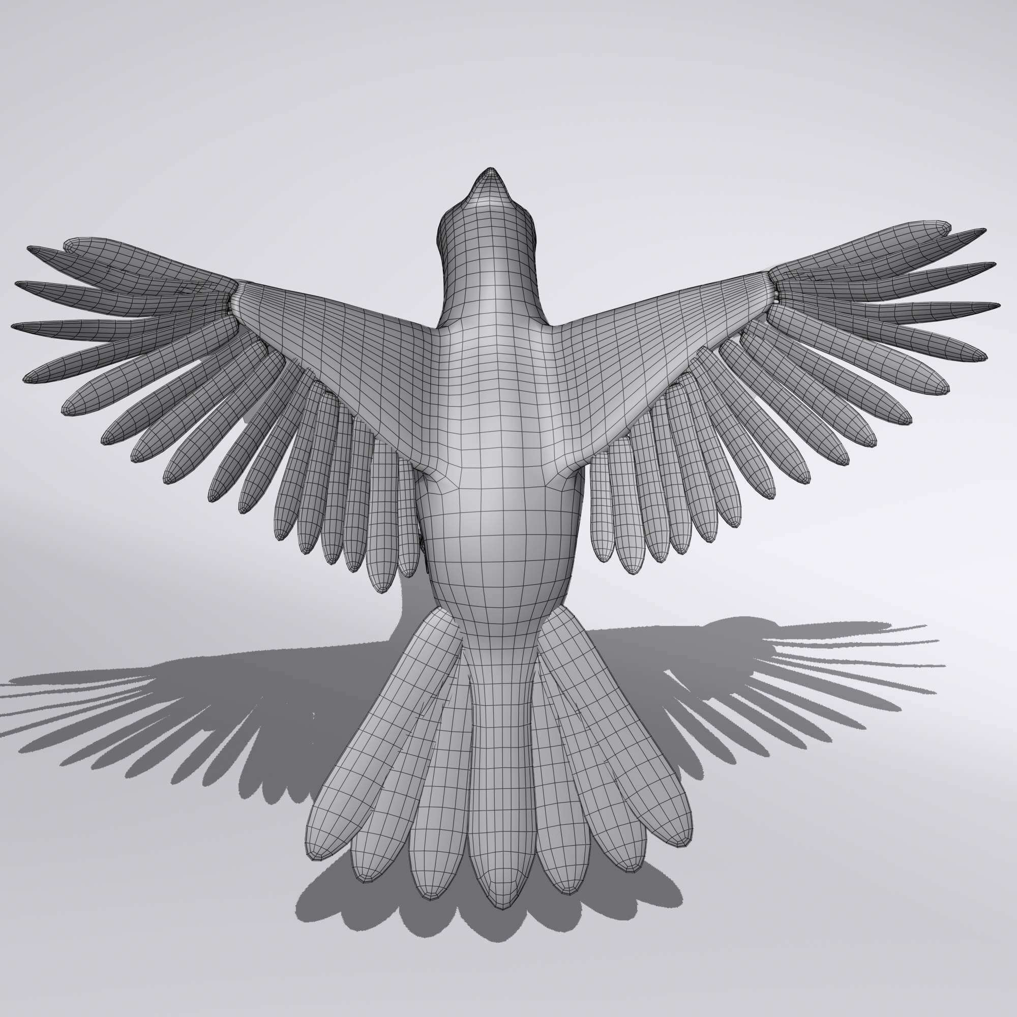 Northern Cardinal - 3D Model by rmilushev