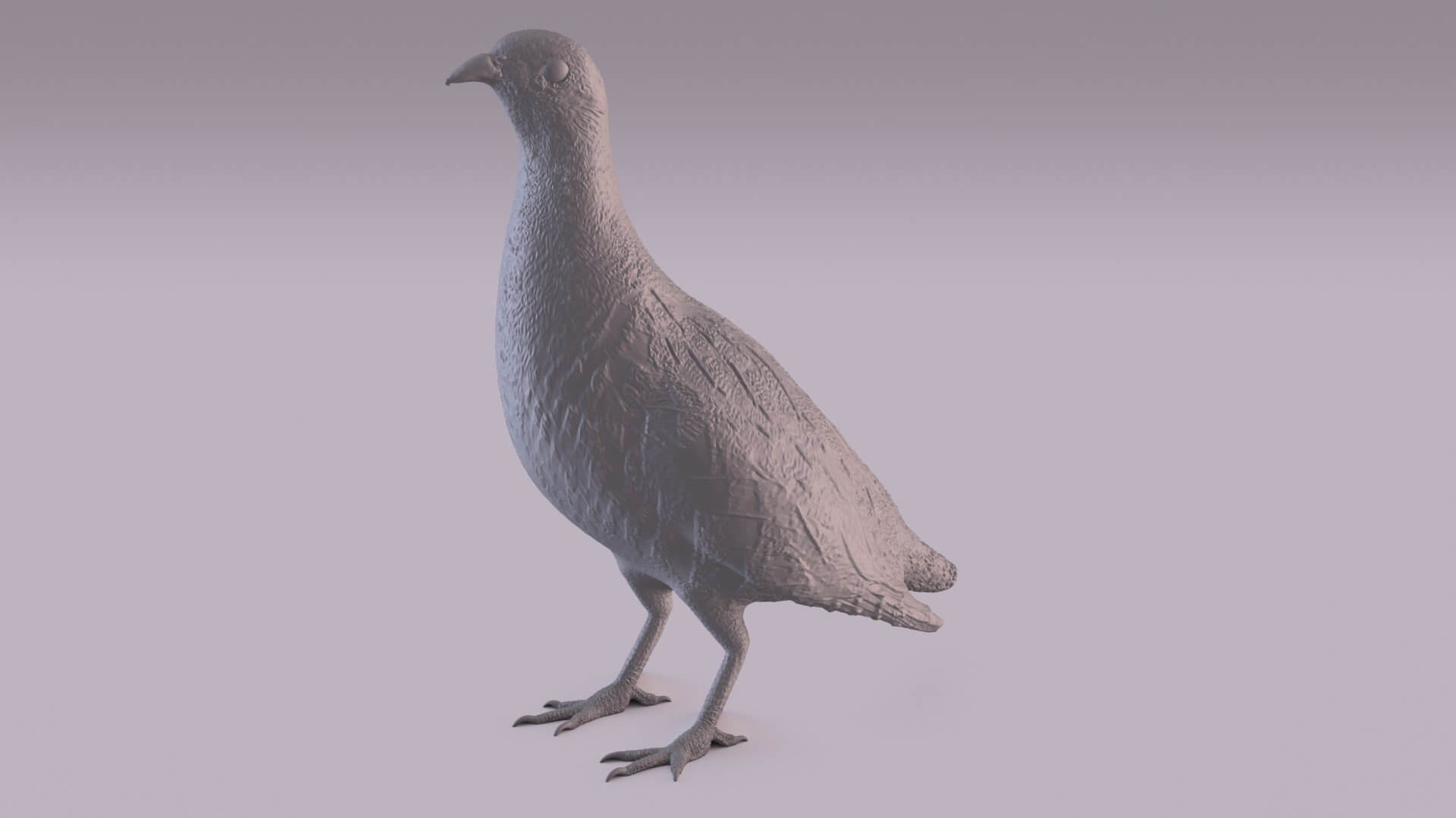 Partridge - 3D Model by rmilushev