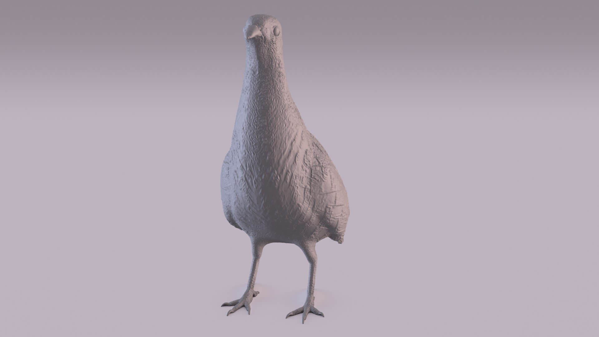 Partridge - 3D Model by rmilushev
