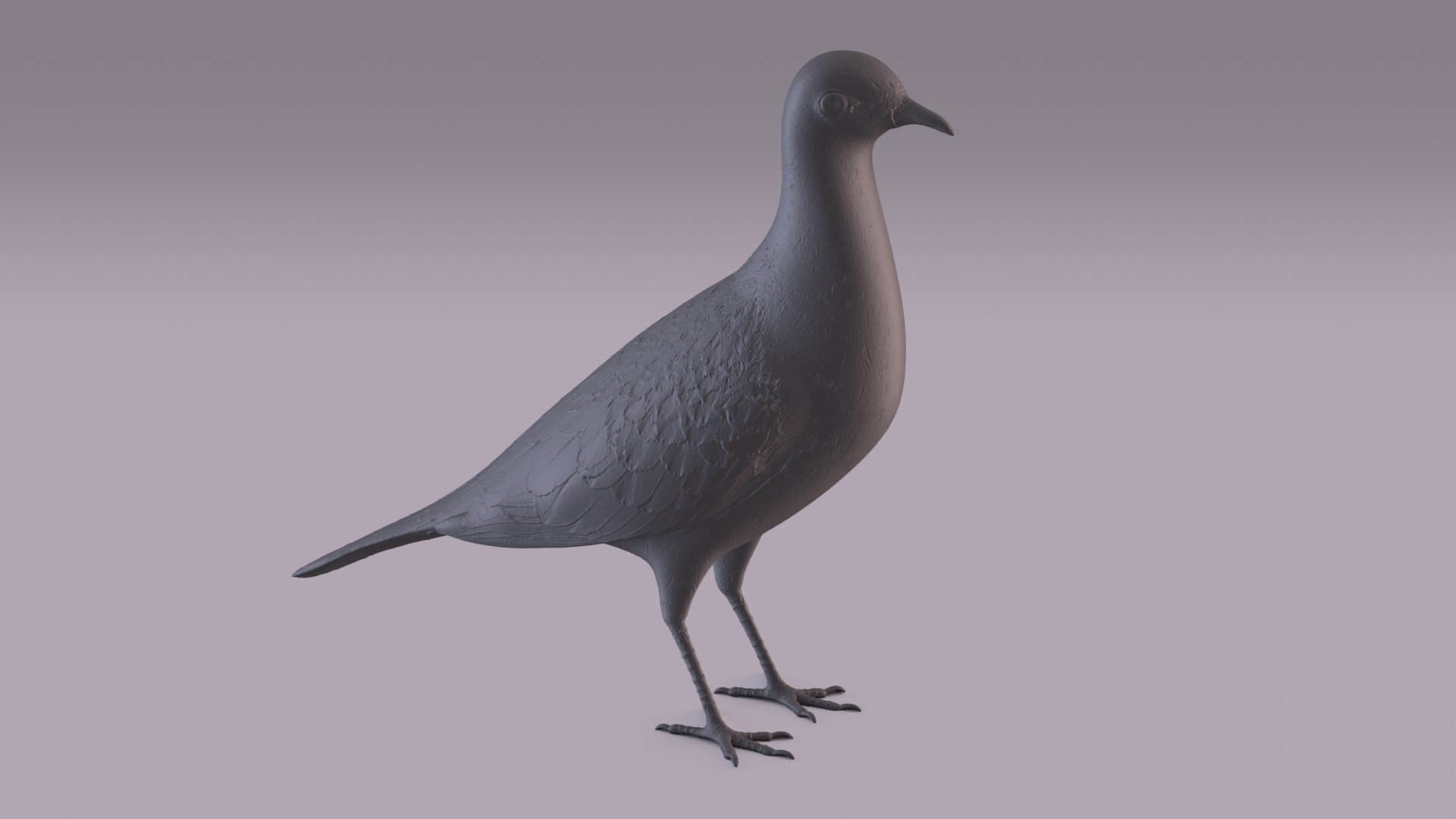 Pigeon - 3D Model by rmilushev