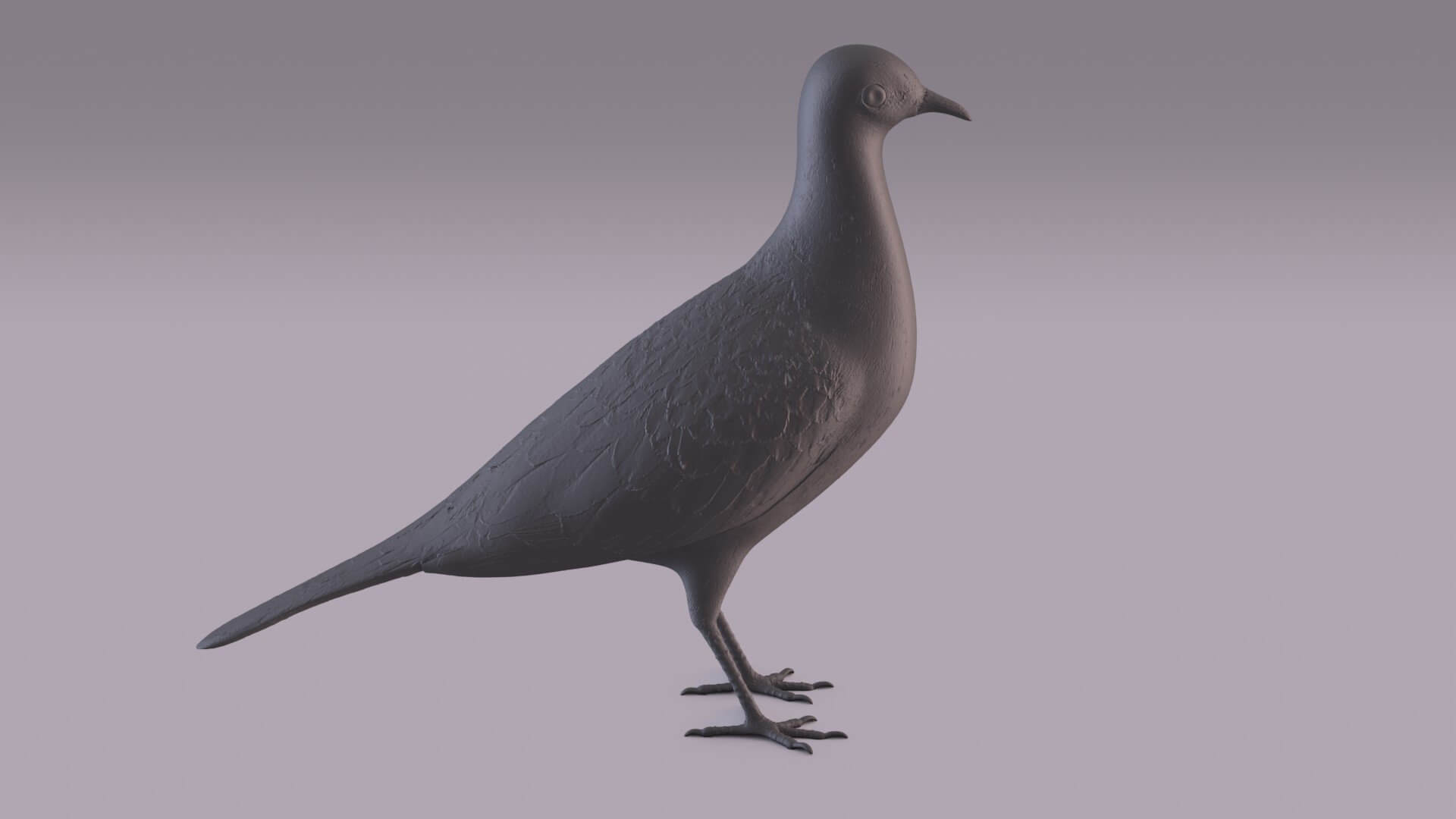 Pigeon - 3D Model by rmilushev