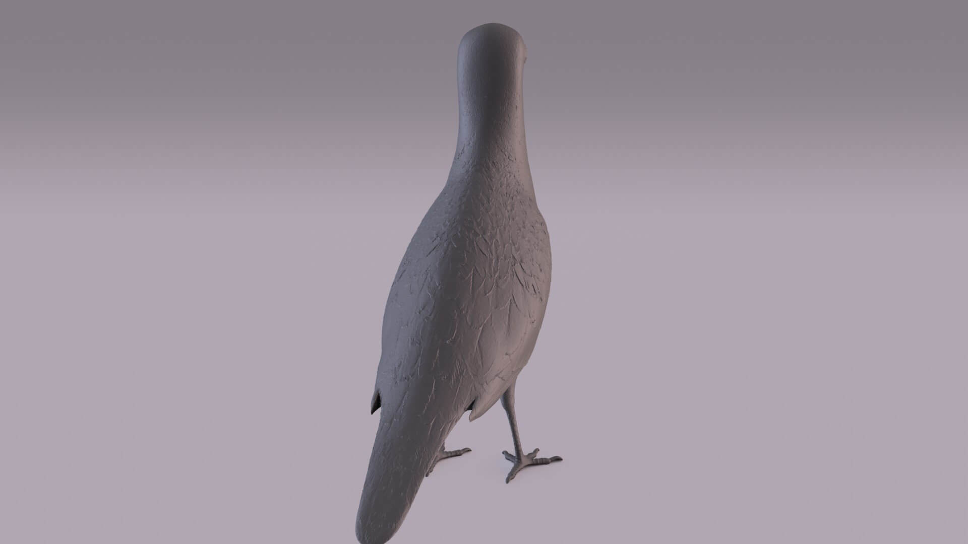 Pigeon - 3D Model by rmilushev