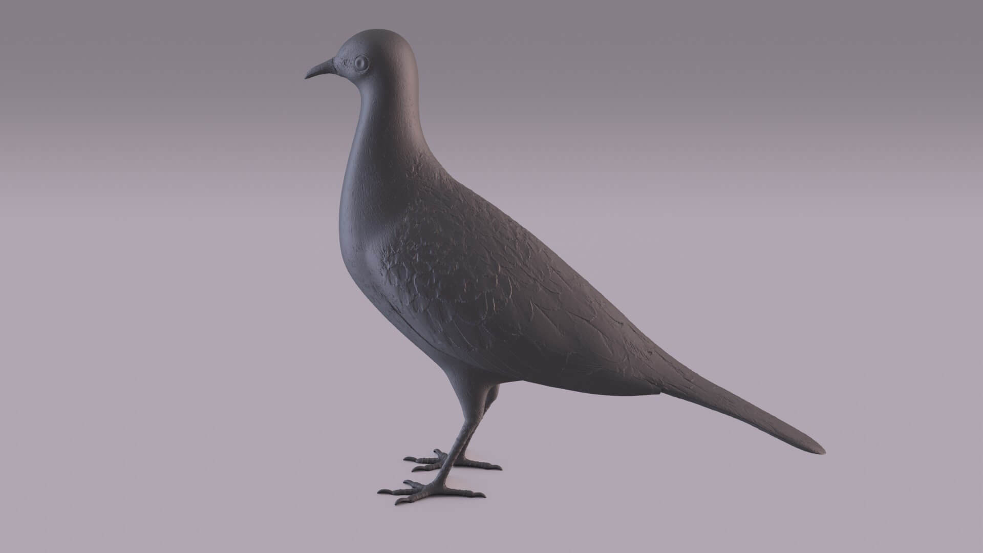 Pigeon - 3D Model by rmilushev